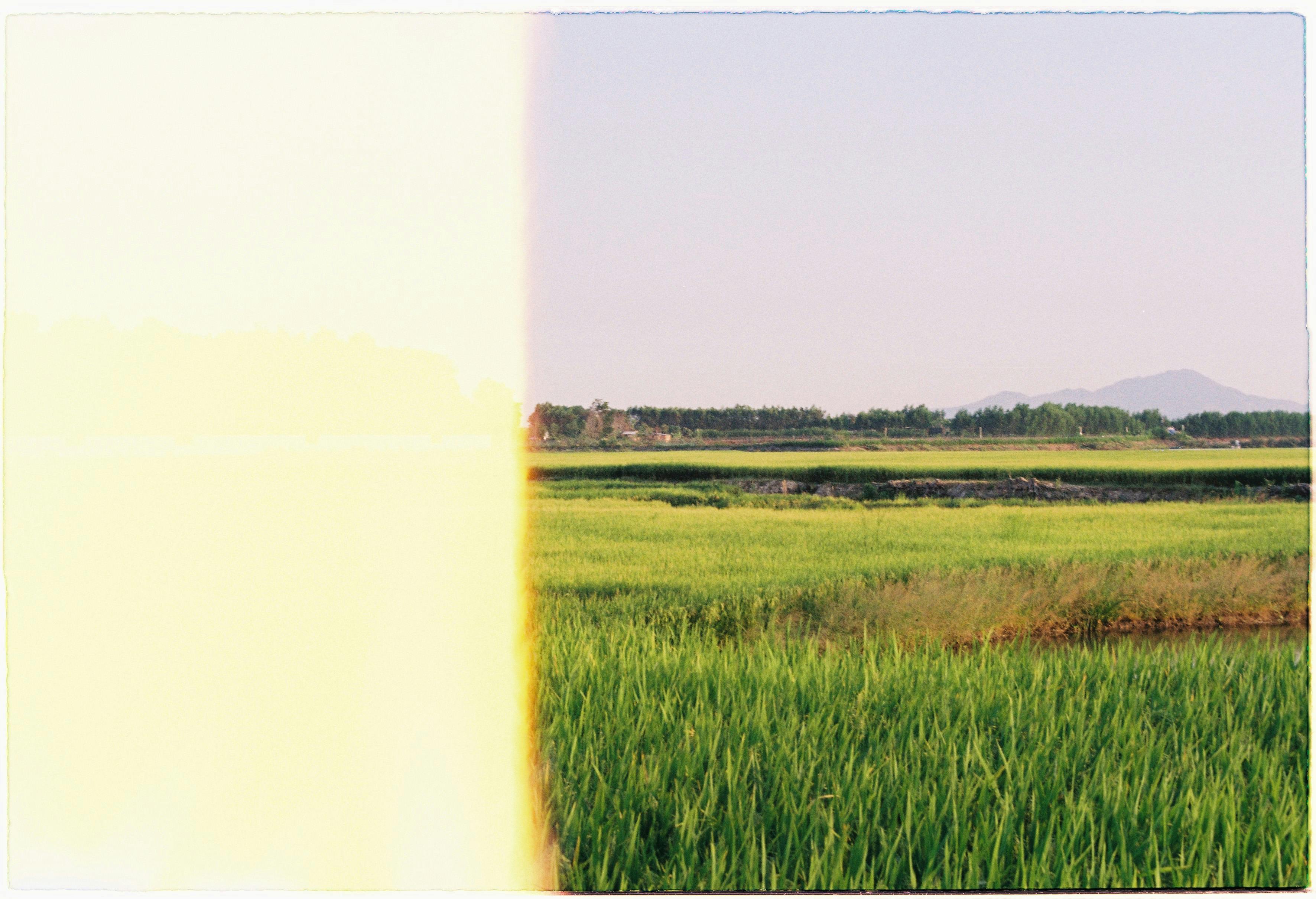 British Agriculture Photos, Download The BEST Free British Agriculture ...