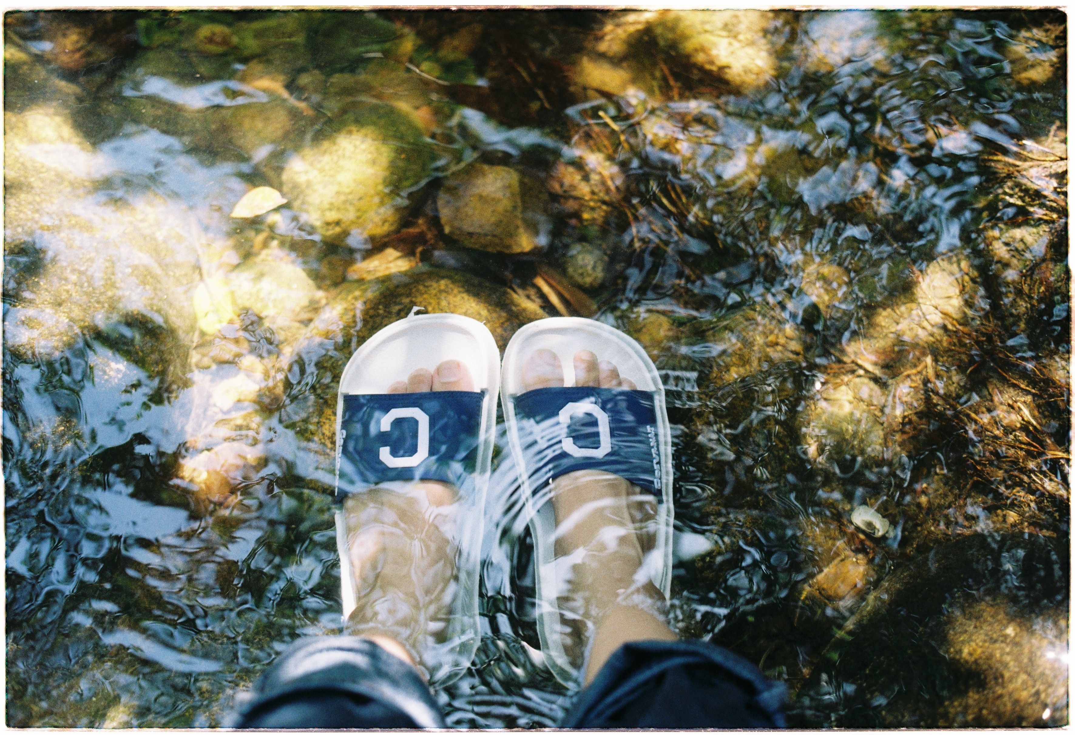 Standing On Feet Photos, Download The BEST Free Standing On Feet Stock ...