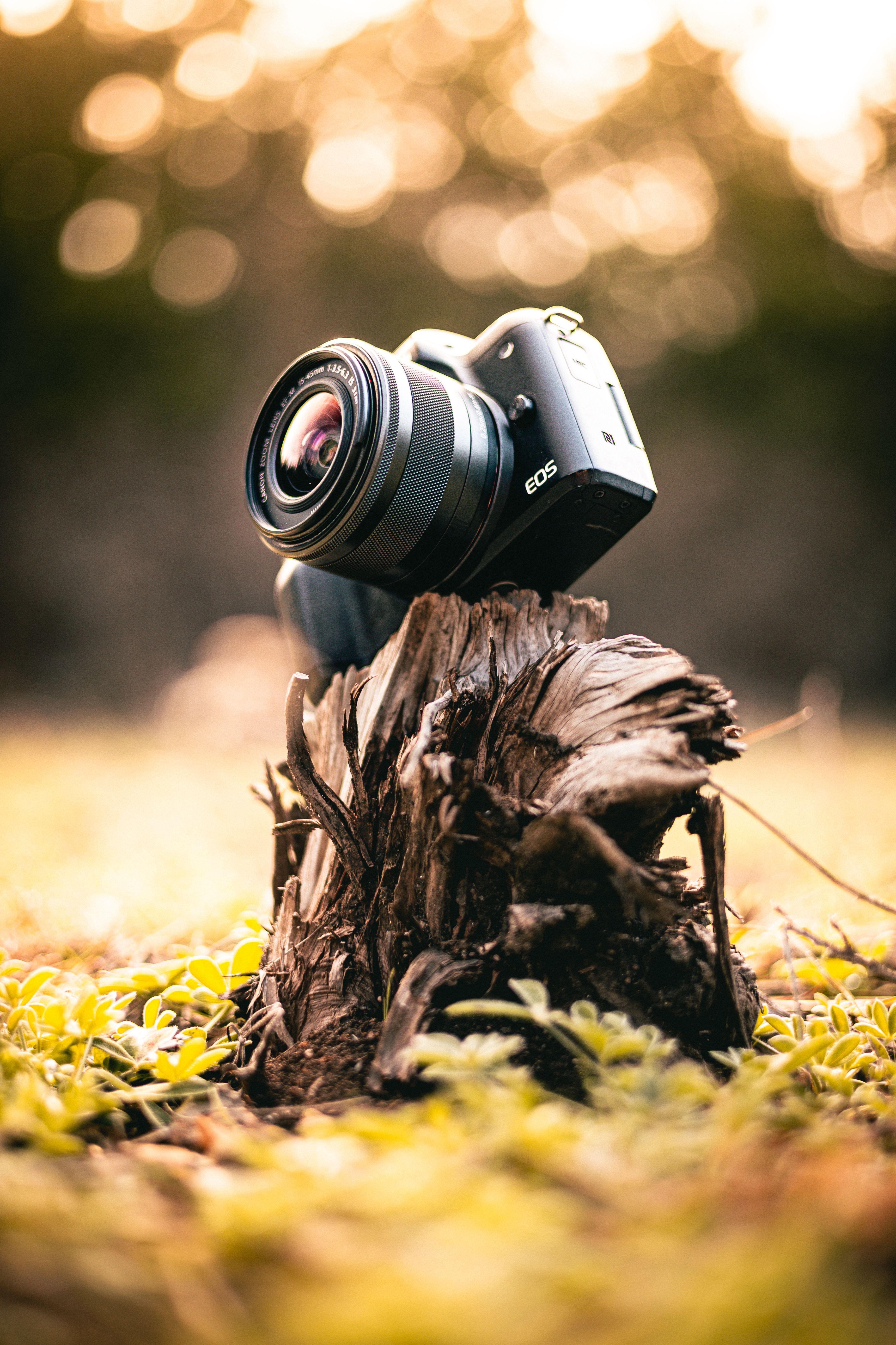 Caden Van Cleave - Photography