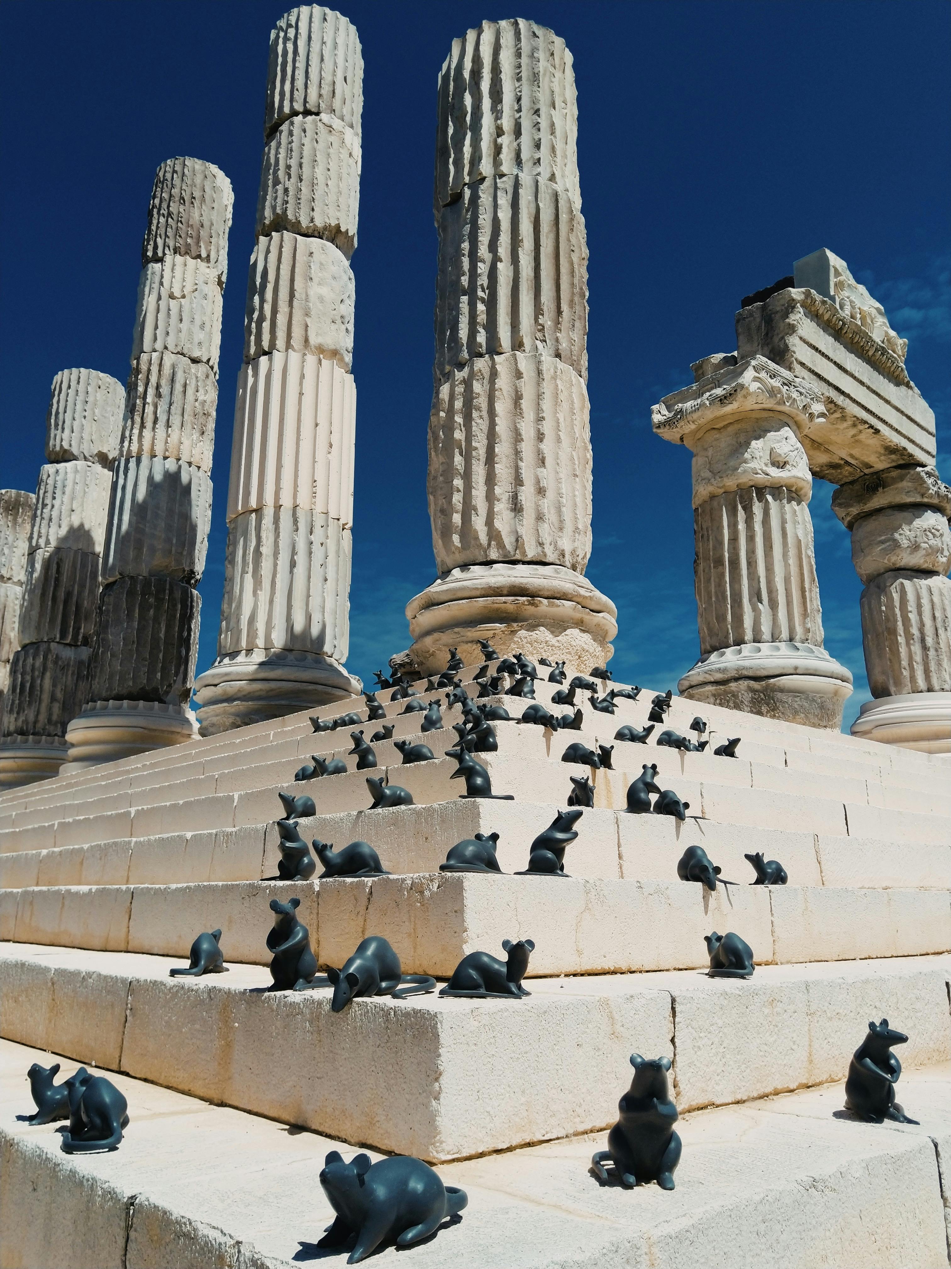 Mouse Temple Photos, Download The BEST Free Mouse Temple Stock Photos ...