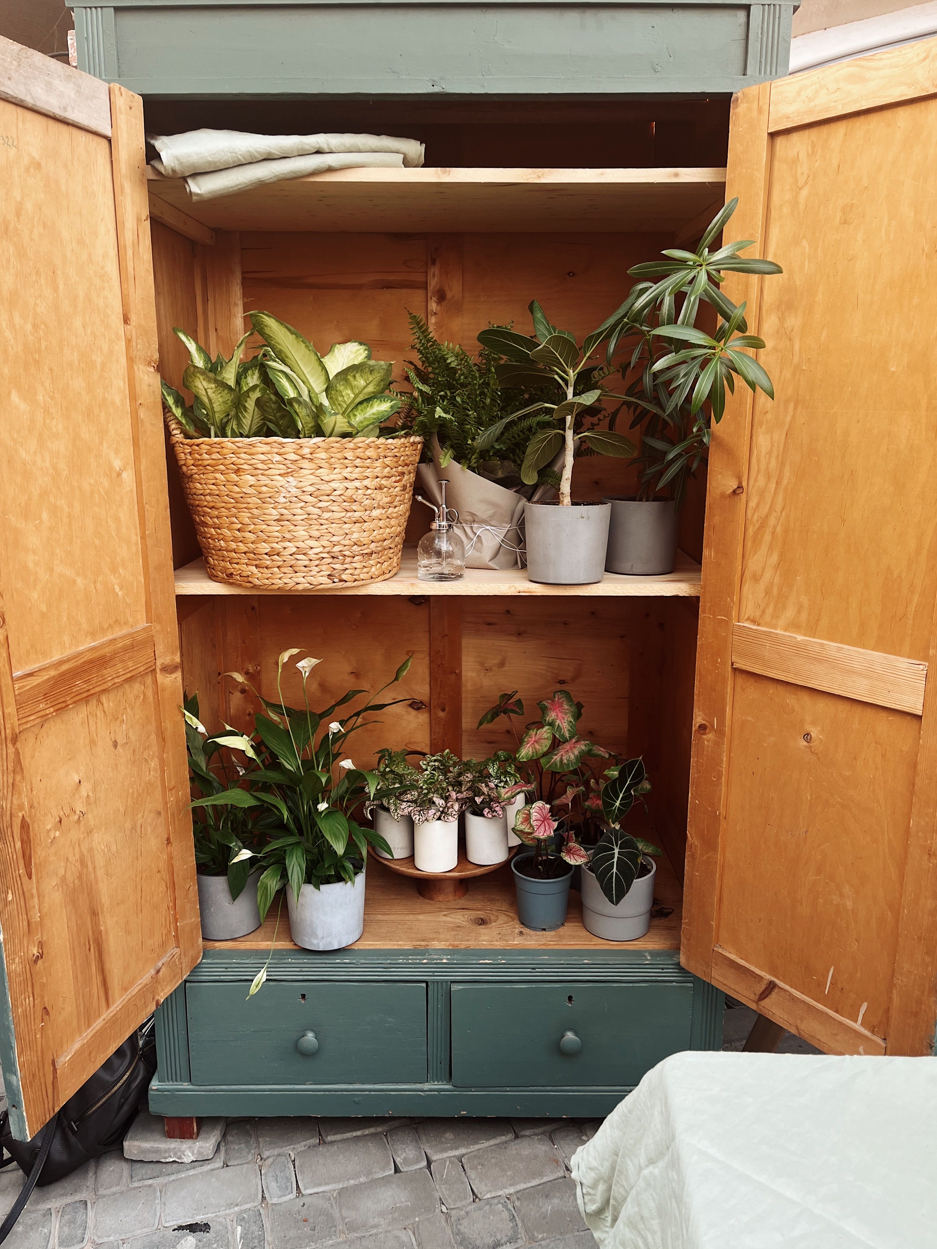 Janitorial Cabinet Photos, Download The BEST Free Janitorial Cabinet ...