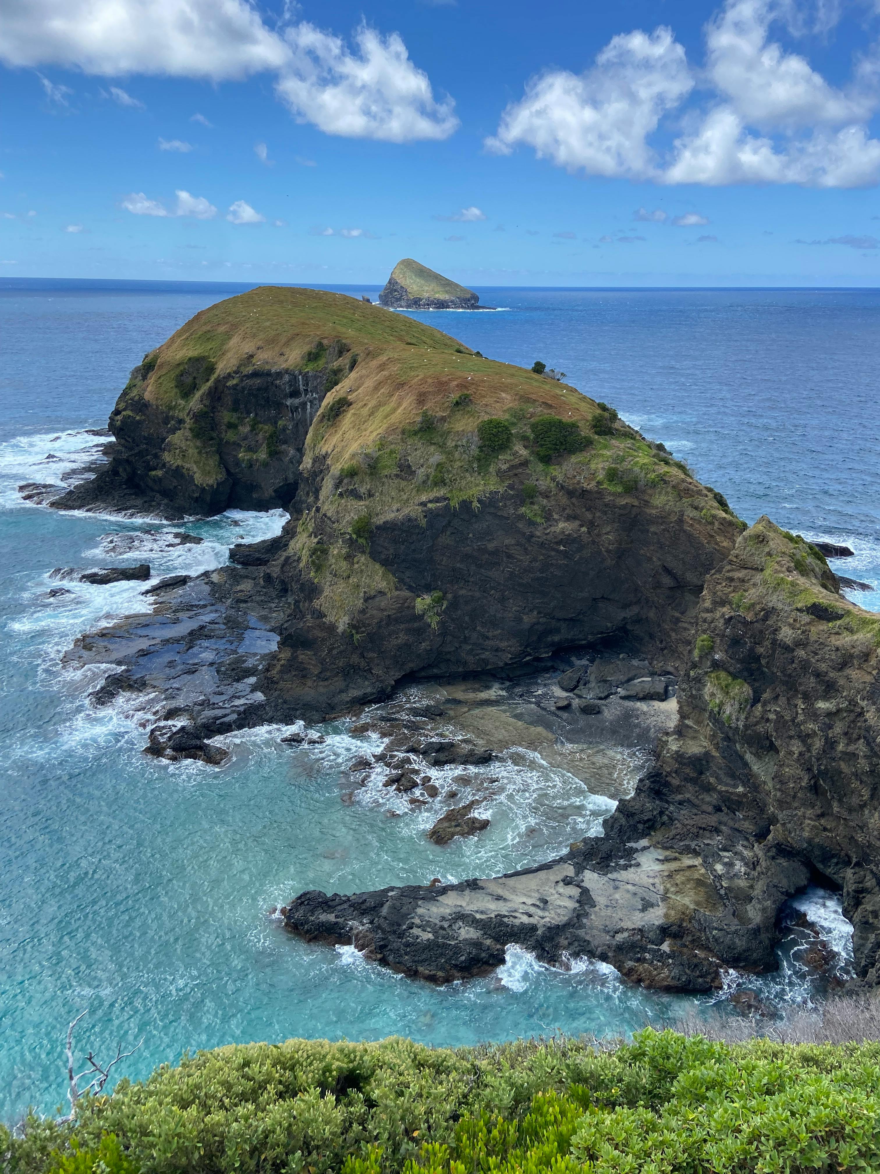 Лучшие фото (1 000+) по запросу «List_of_post-nominal_letters ...