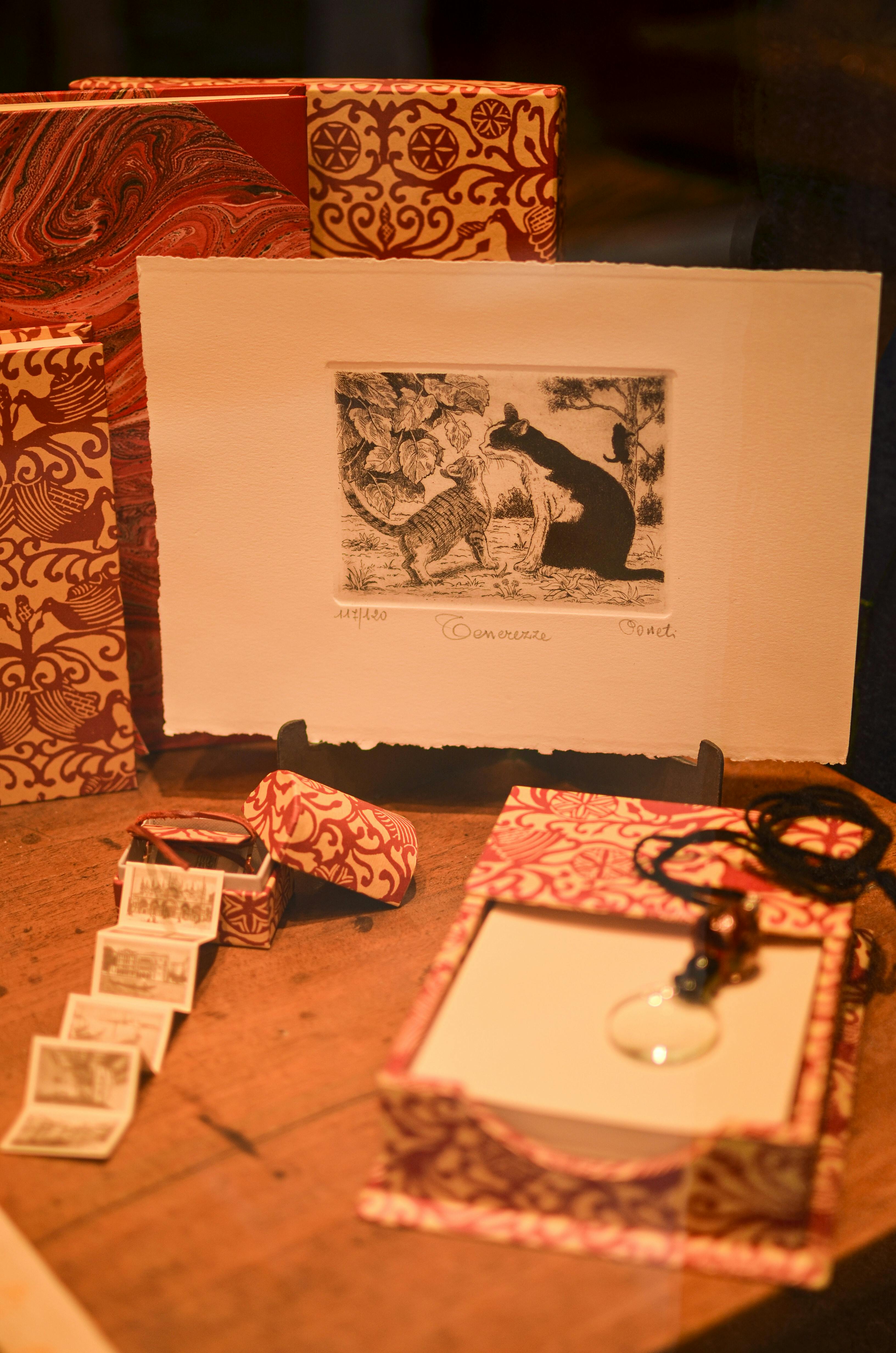 Sofia Mishchenko - Photography