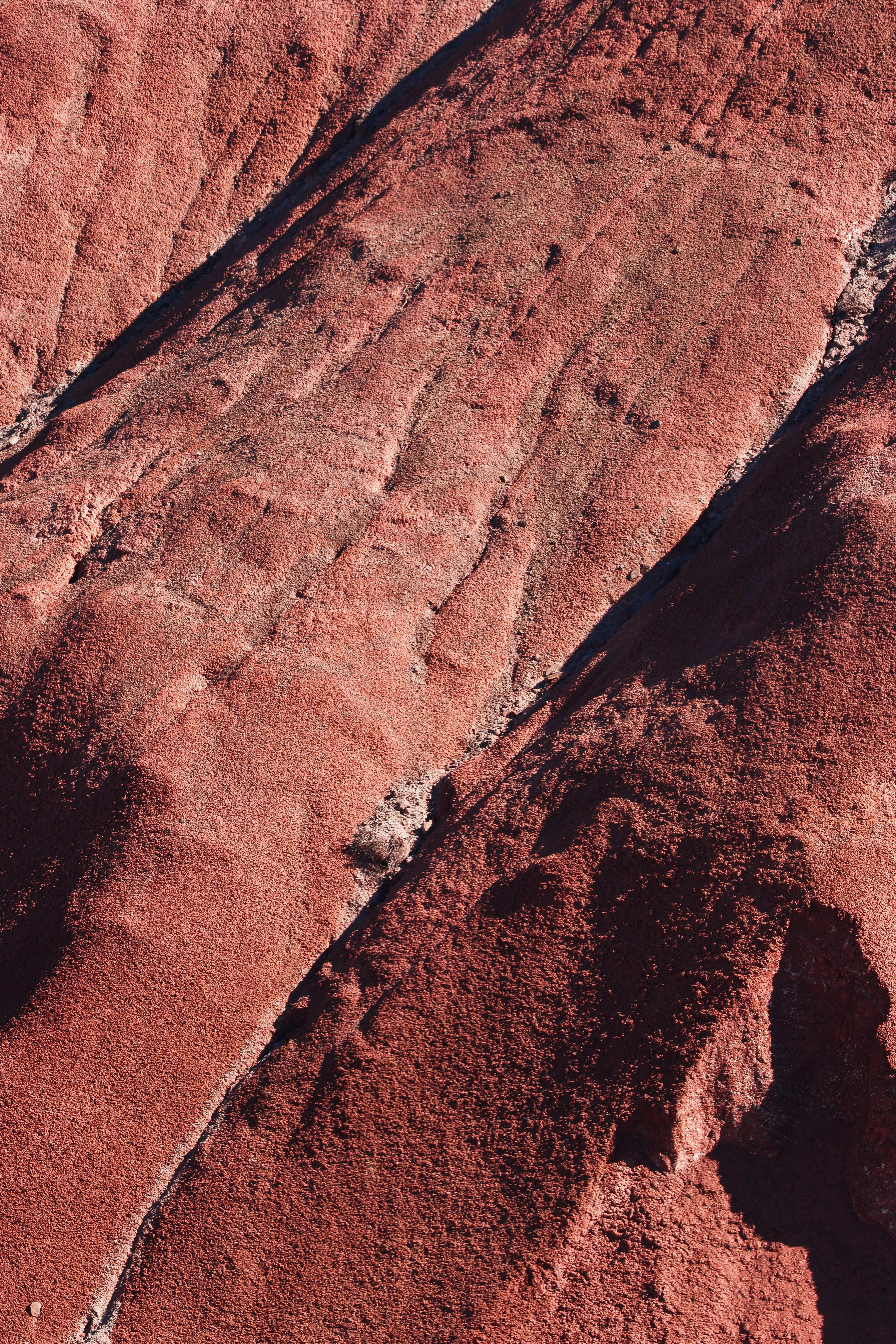 Grand Canyon · Free Stock Photo