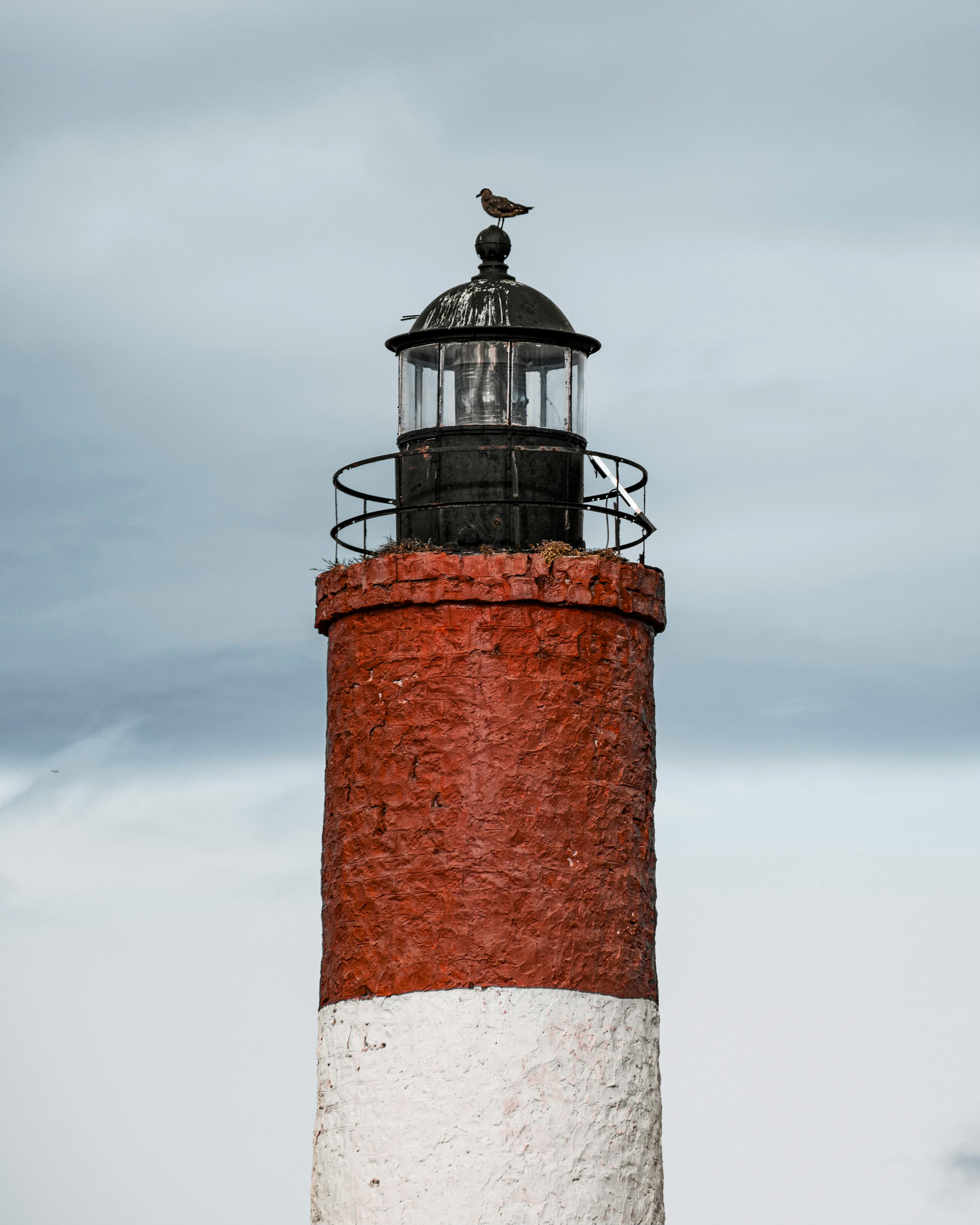 Searchlight Photos, Download The BEST Free Searchlight Stock Photos ...