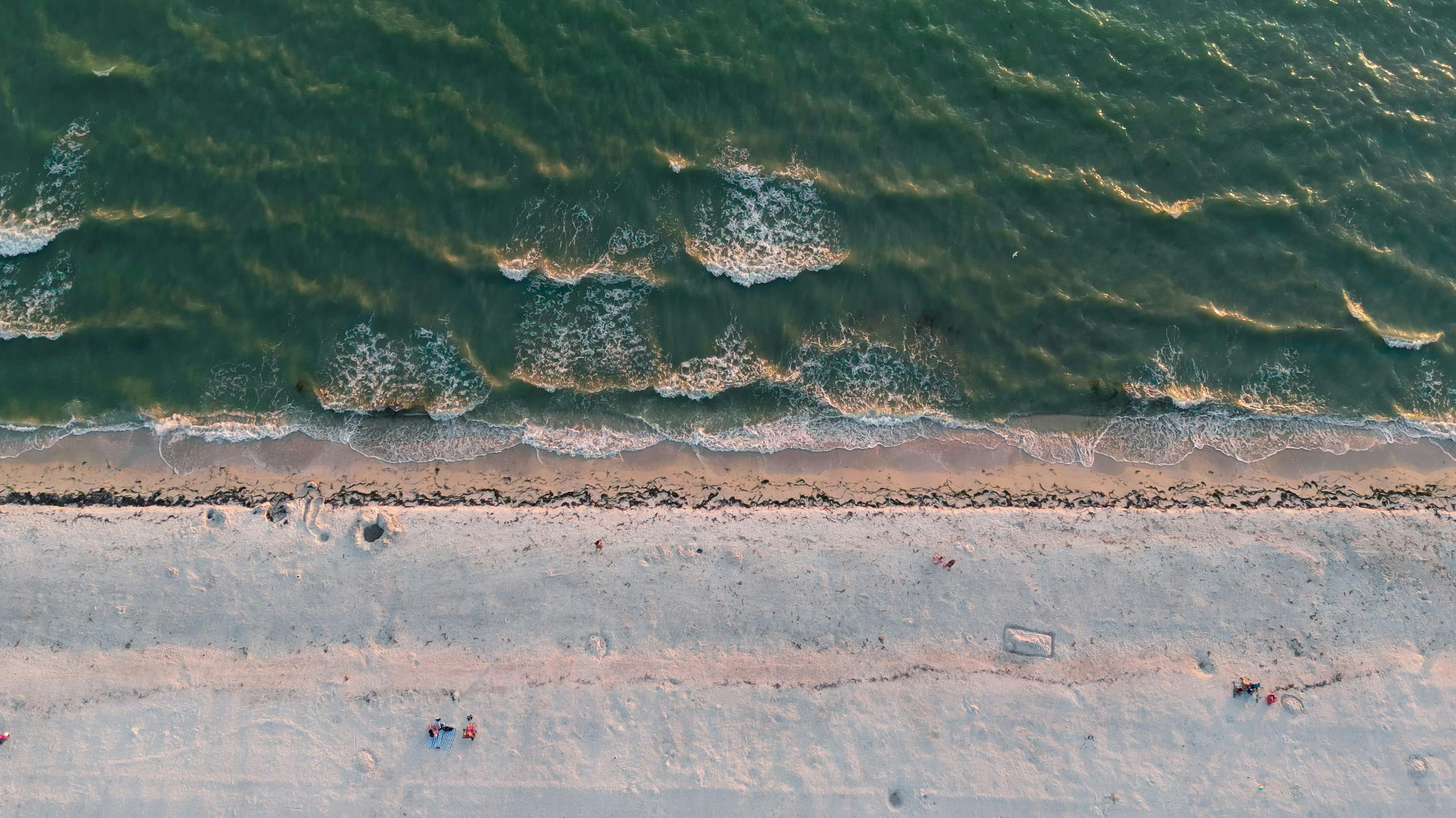 Drone Shot of Beach along Ocean · Free Stock Photo