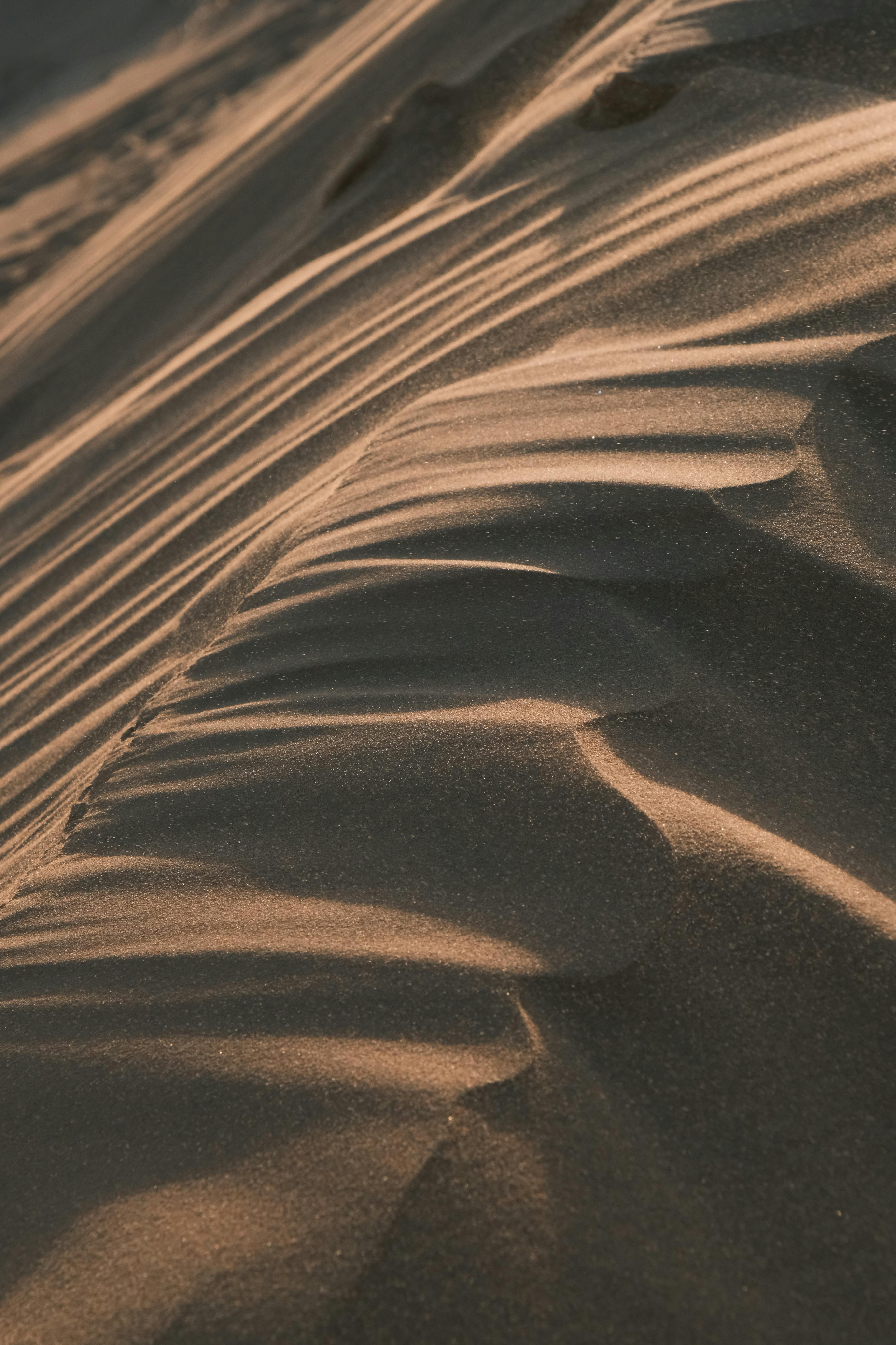 Desert Shadows Photos, Download The BEST Free Desert Shadows Stock Photos & HD Images