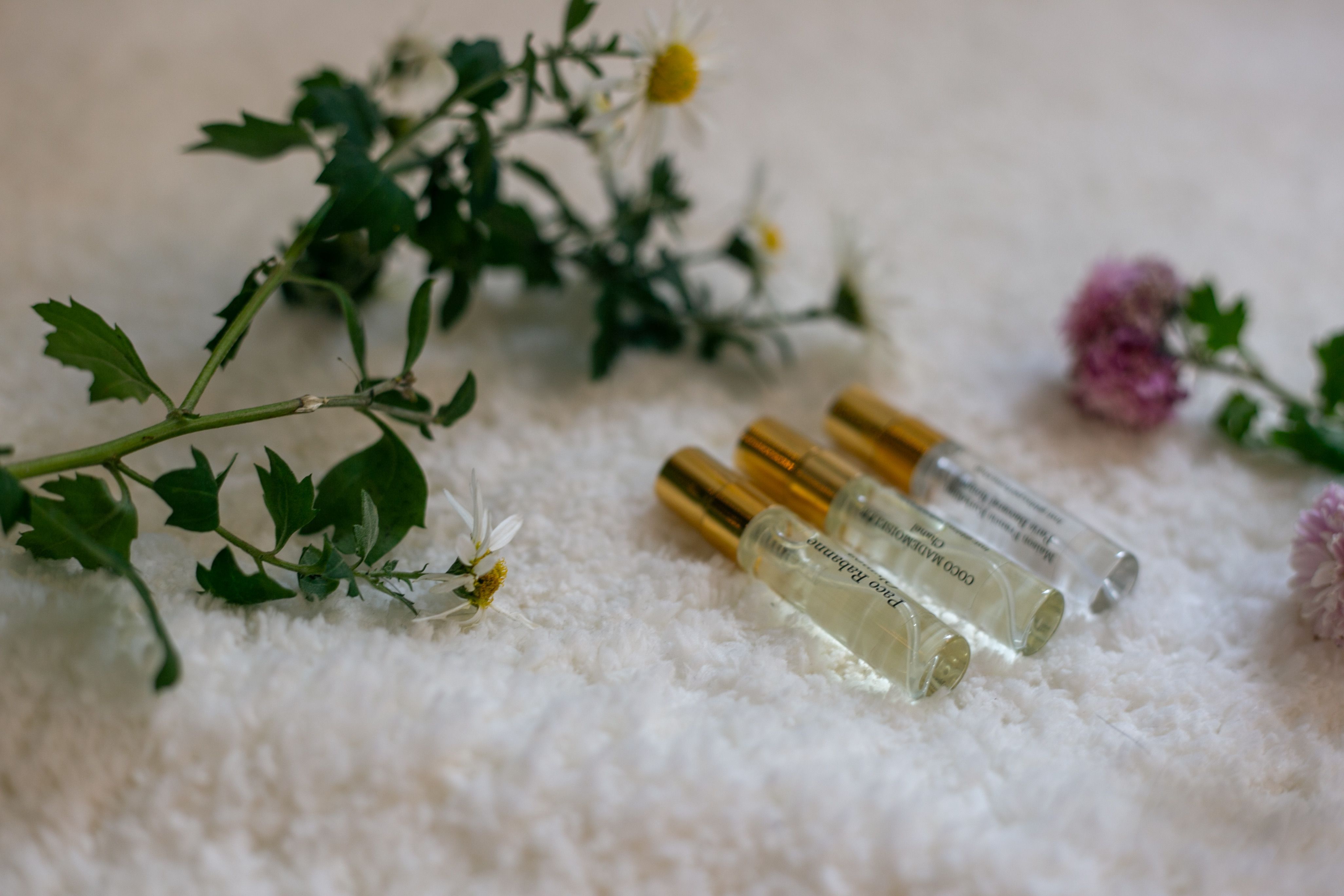 Fragrances Photos, Download The BEST Free Fragrances Stock Photos & HD ...