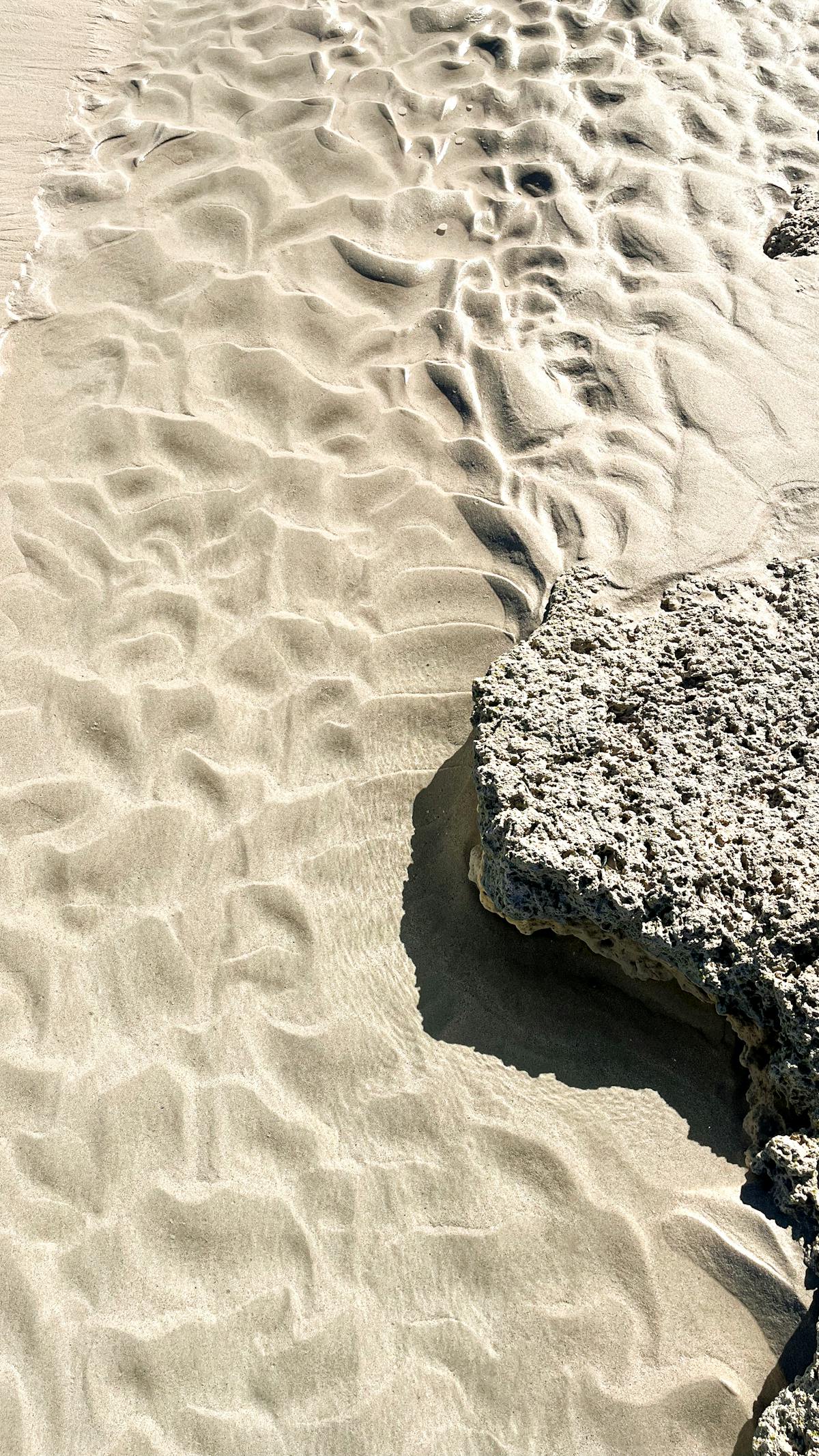 Ripples Photos, Download The BEST Free Ripples Stock Photos & HD Images