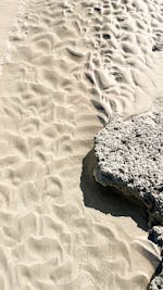 Ripples Photos, Download The BEST Free Ripples Stock Photos & HD Images