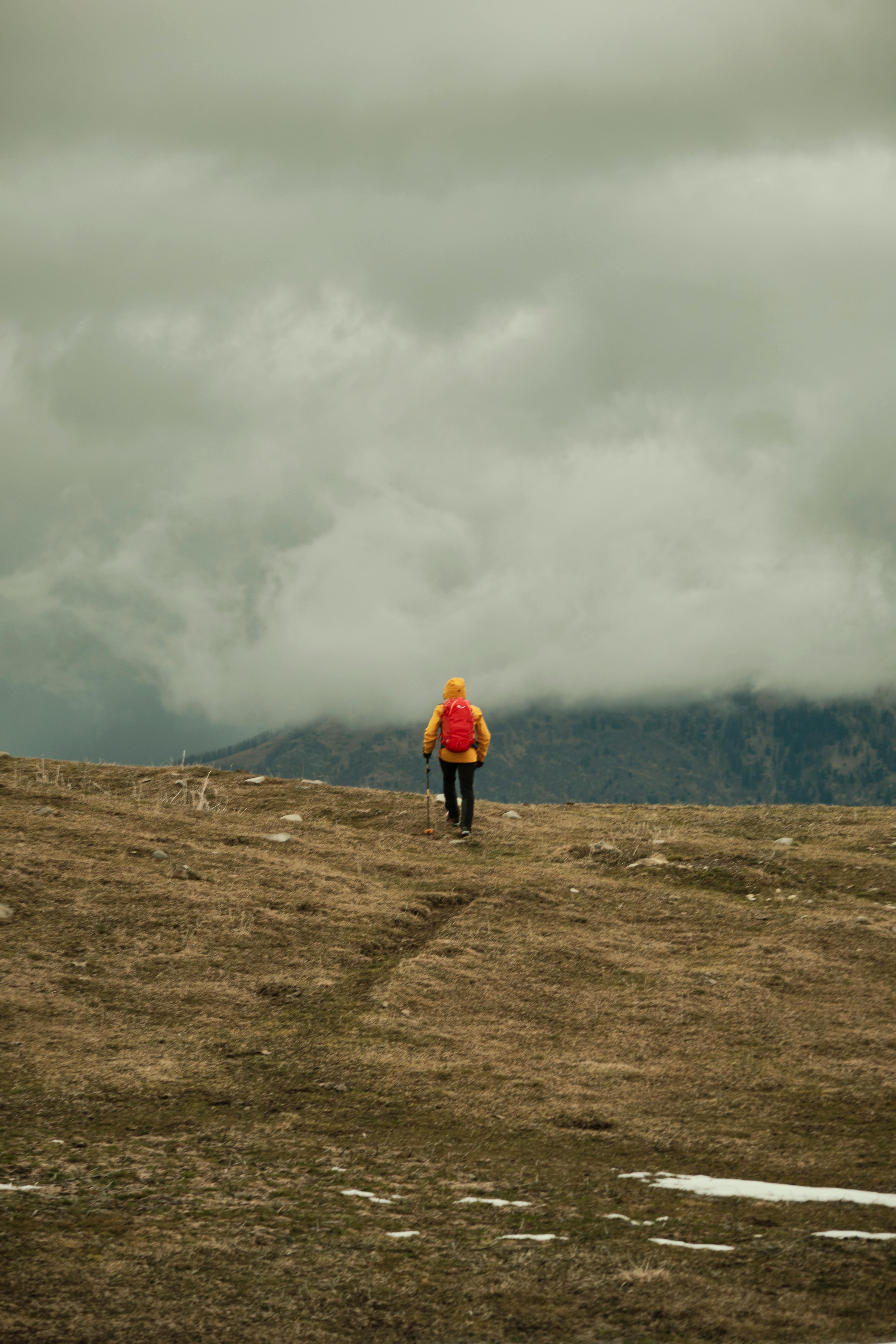 Monesy Photos, Download The BEST Free Monesy Stock Photos & HD Images