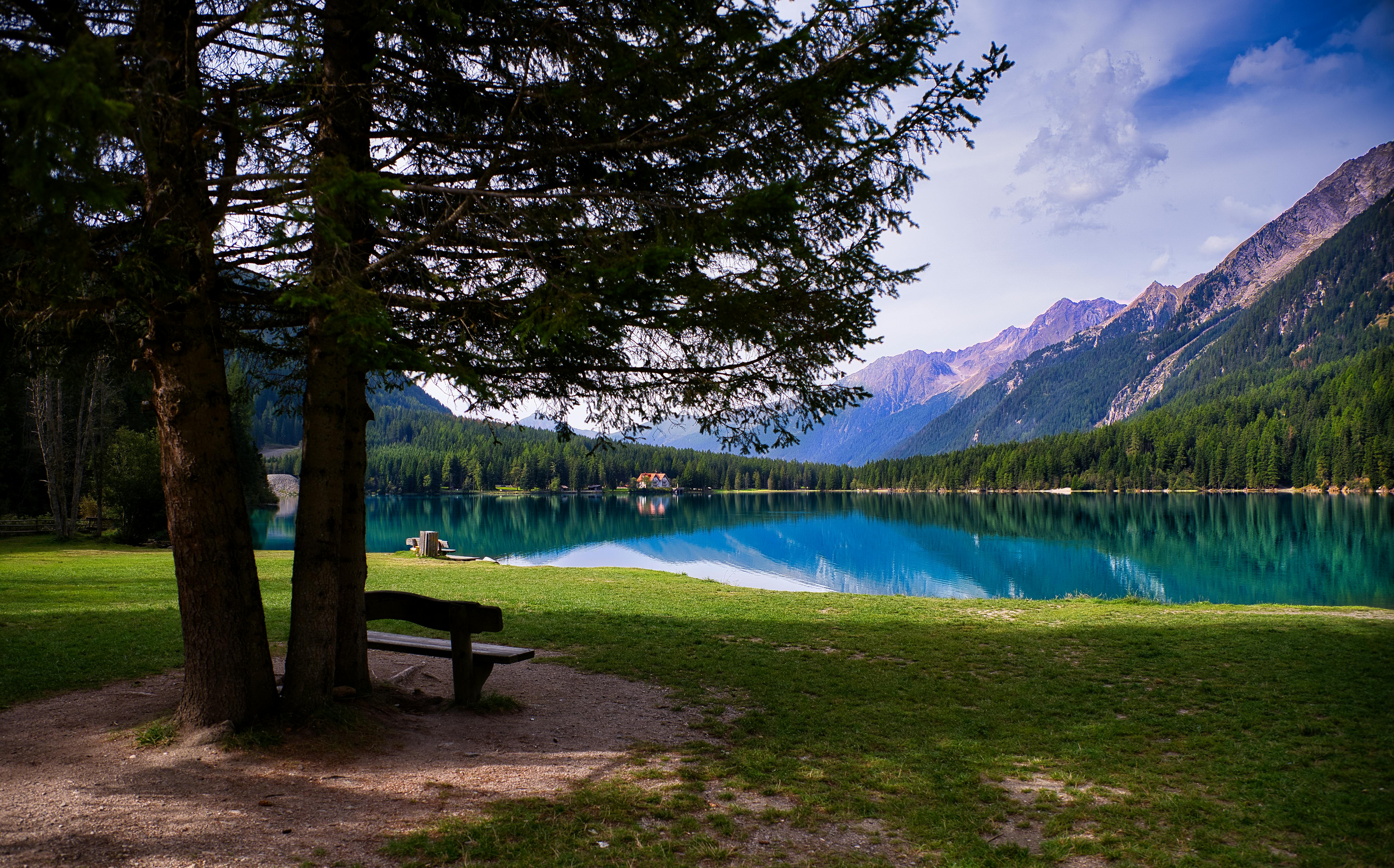 Bench with a View of Beautiful Lake with Forest and Mountains · Free ...