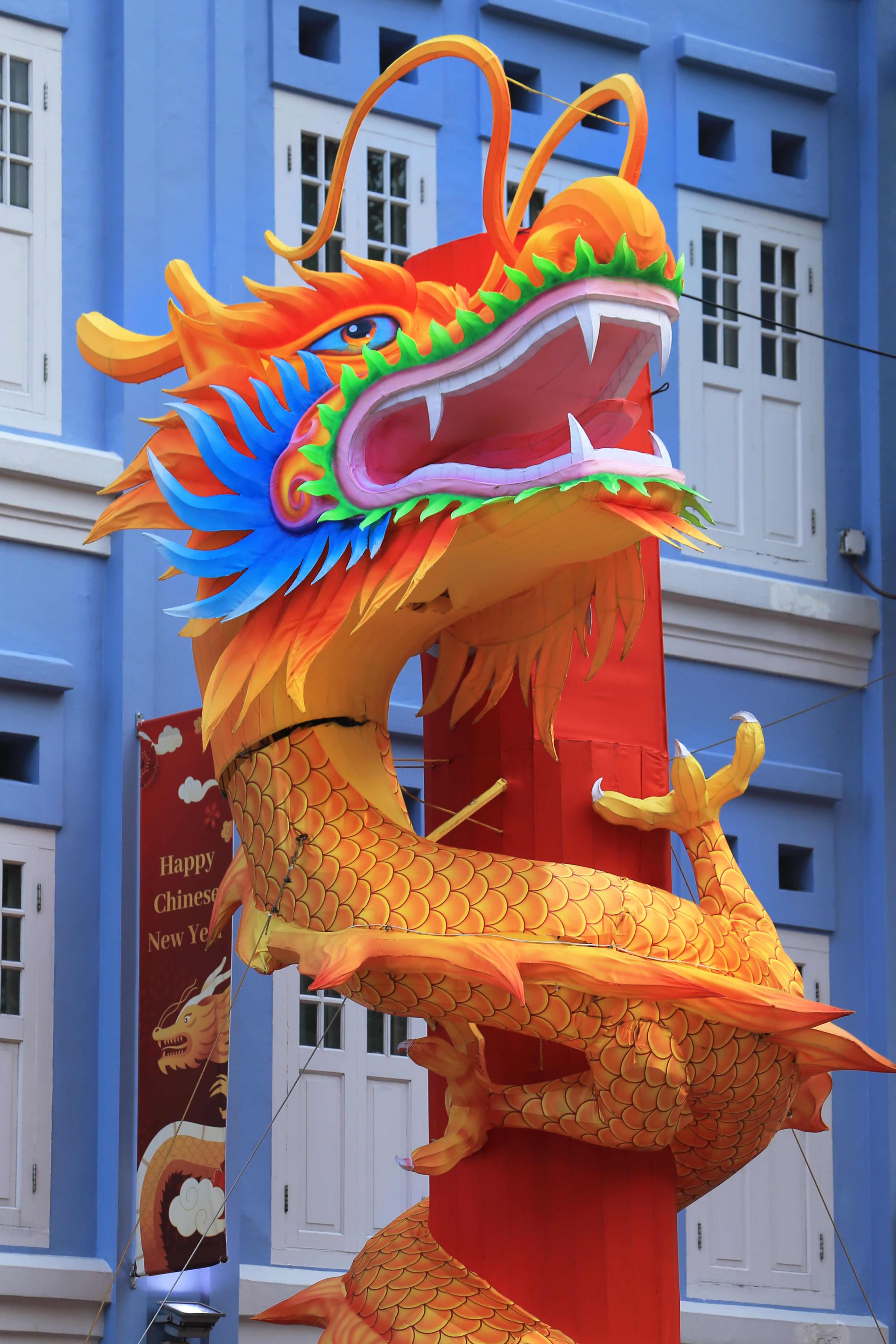 Dragon Decoration for Chinese New Year · Free Stock Photo