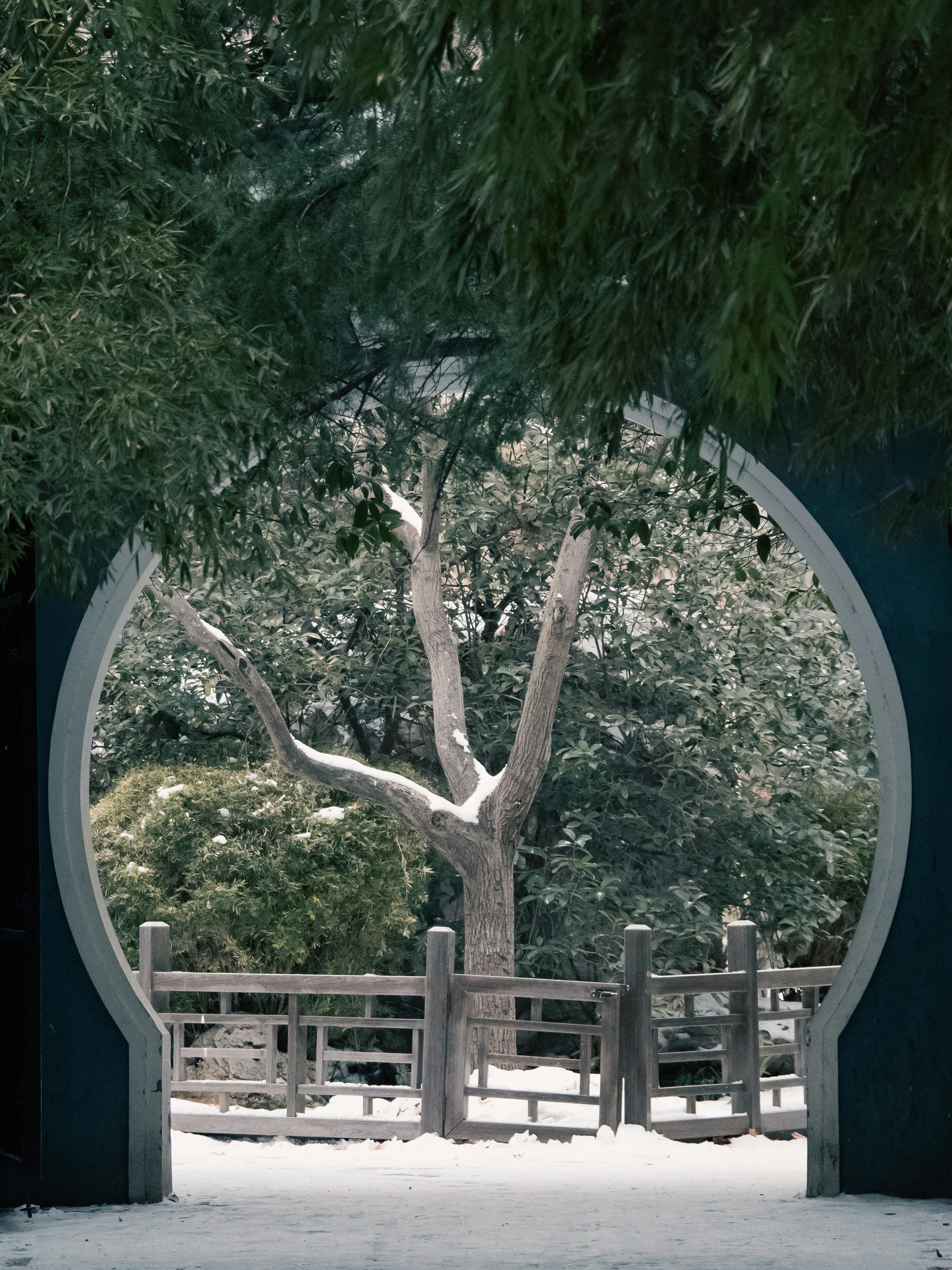 Photo of a Circular Gate in a Snowy Park · Free Stock Photo