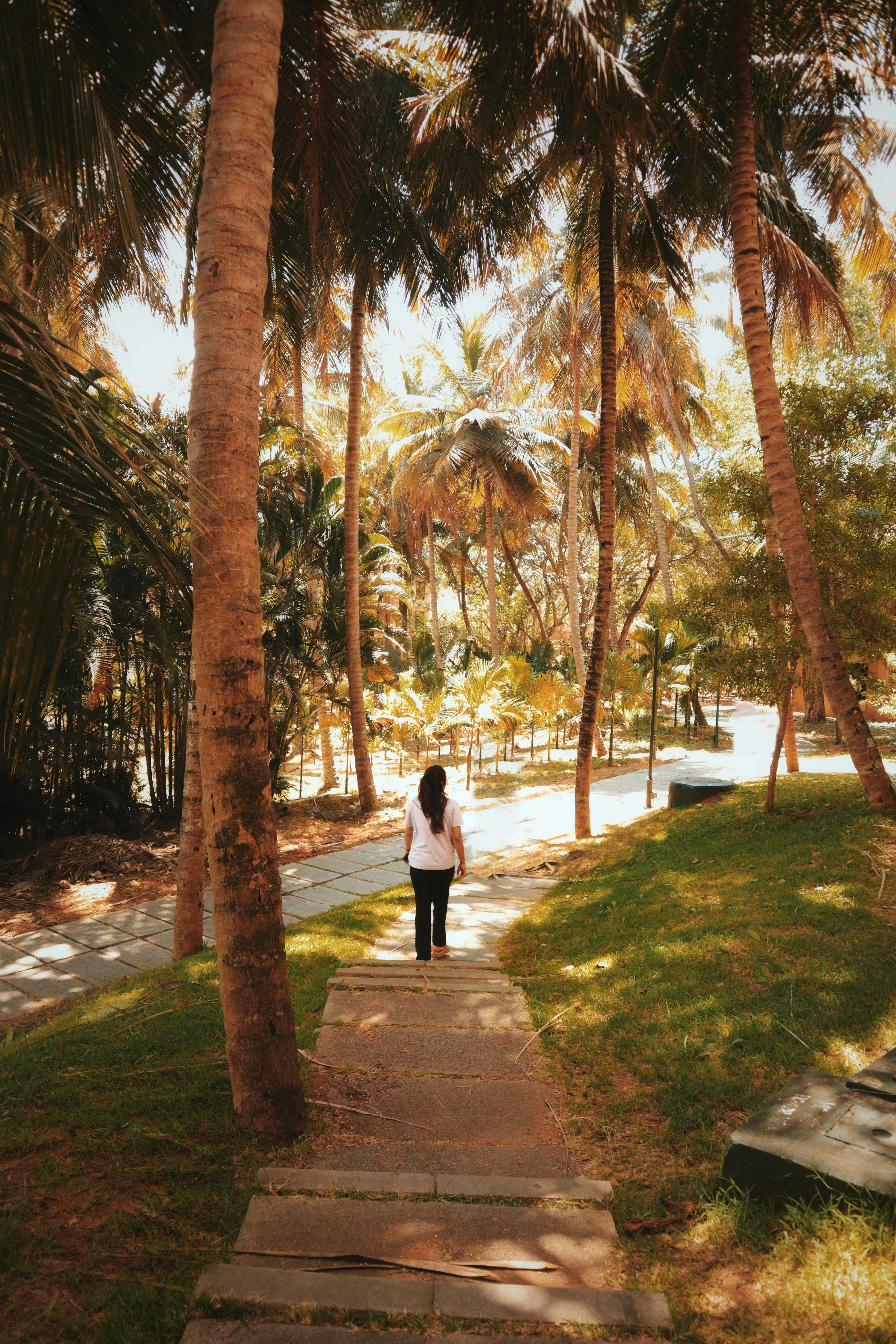 Walking Down A Path Photos, Download The BEST Free Walking Down A Path ...