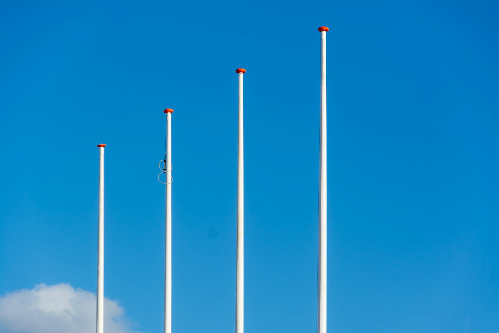 80.000+ Lion 16k Wallpaper Bilder und Fotos · Kostenlos Downloaden ...