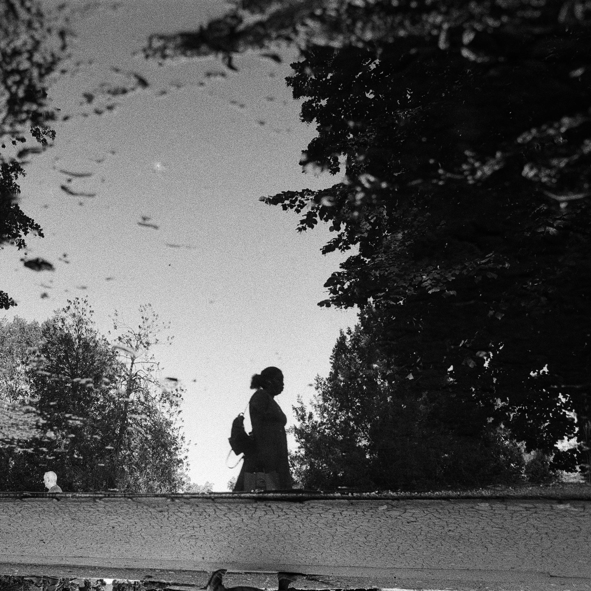 Tiff Format Photos, Download The BEST Free Tiff Format Stock Photos ...