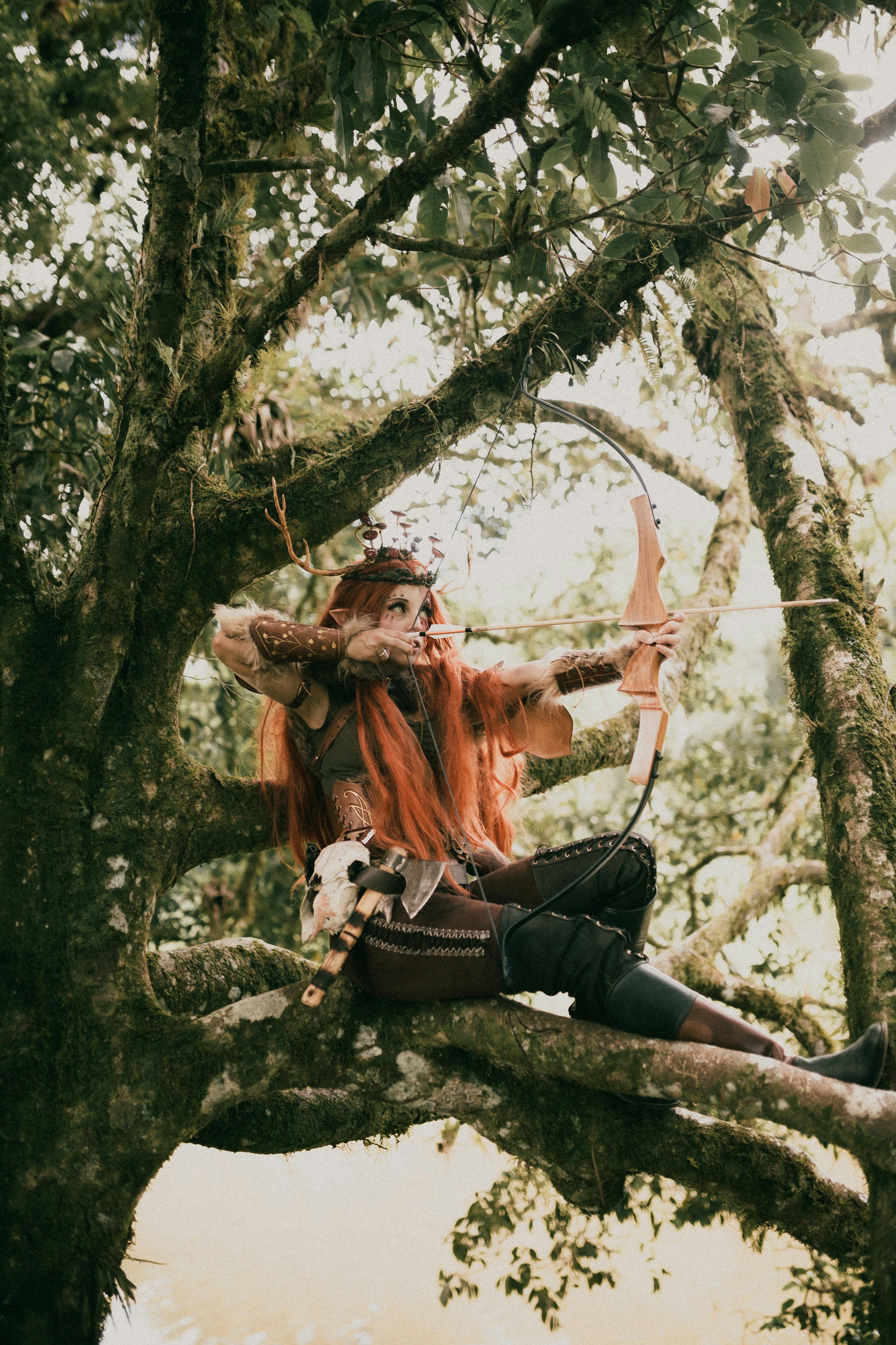 Elf with Bow on a Tree · Free Stock Photo