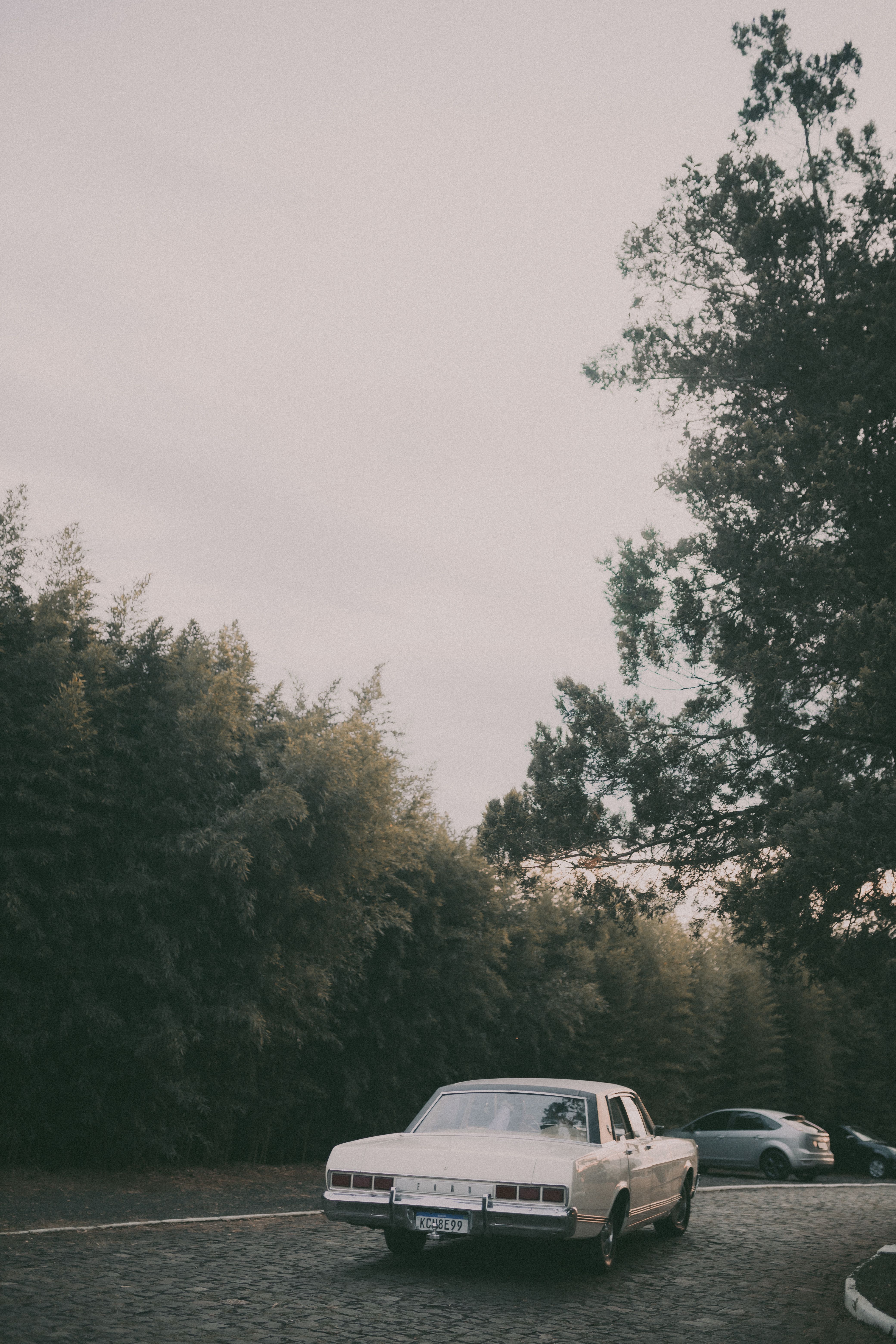 Back View of Ford Galaxie on Cobblestone Road · Free Stock Photo