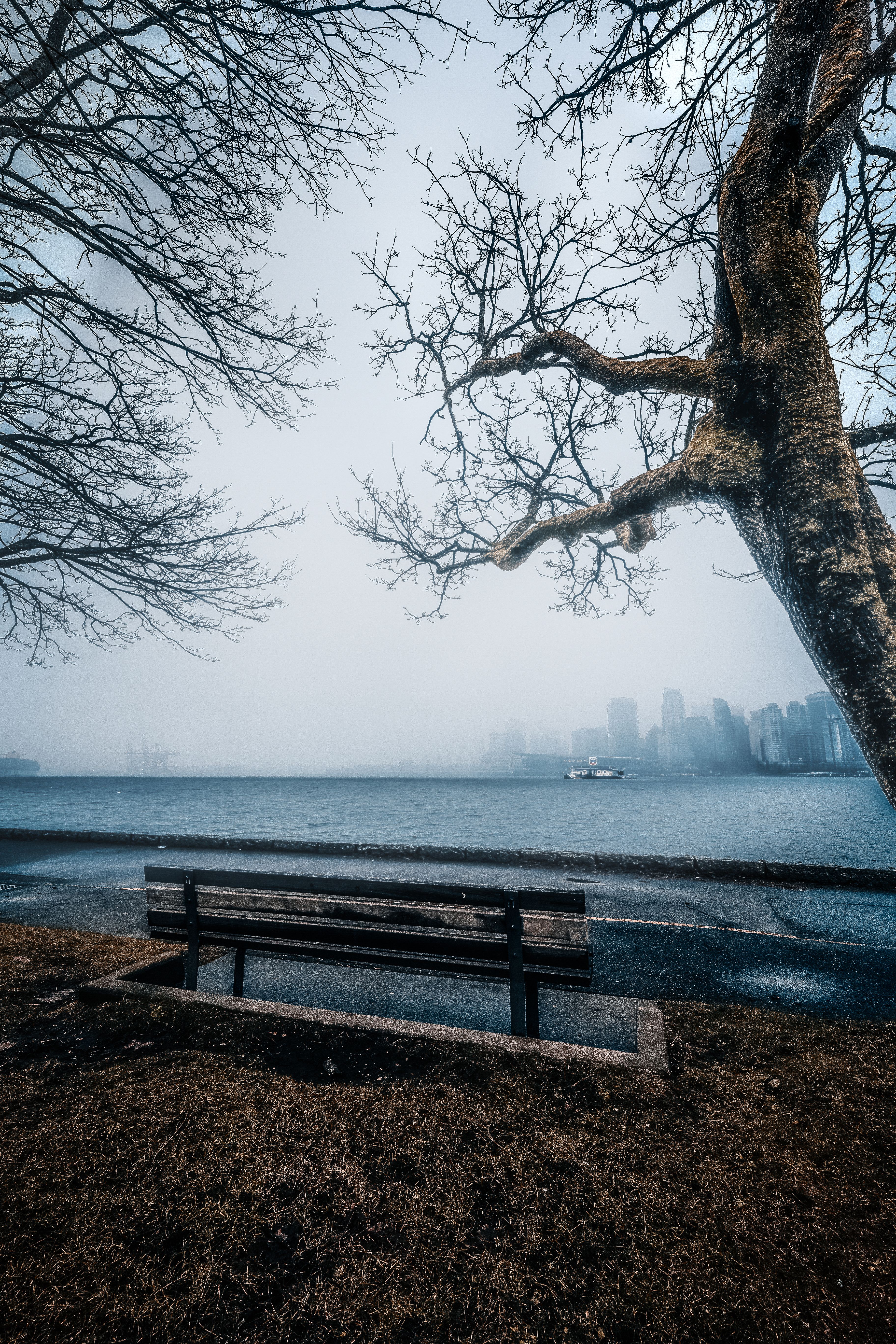 Bench on Promenade on Sea Coast in Vancouver under Fog · Free Stock Photo