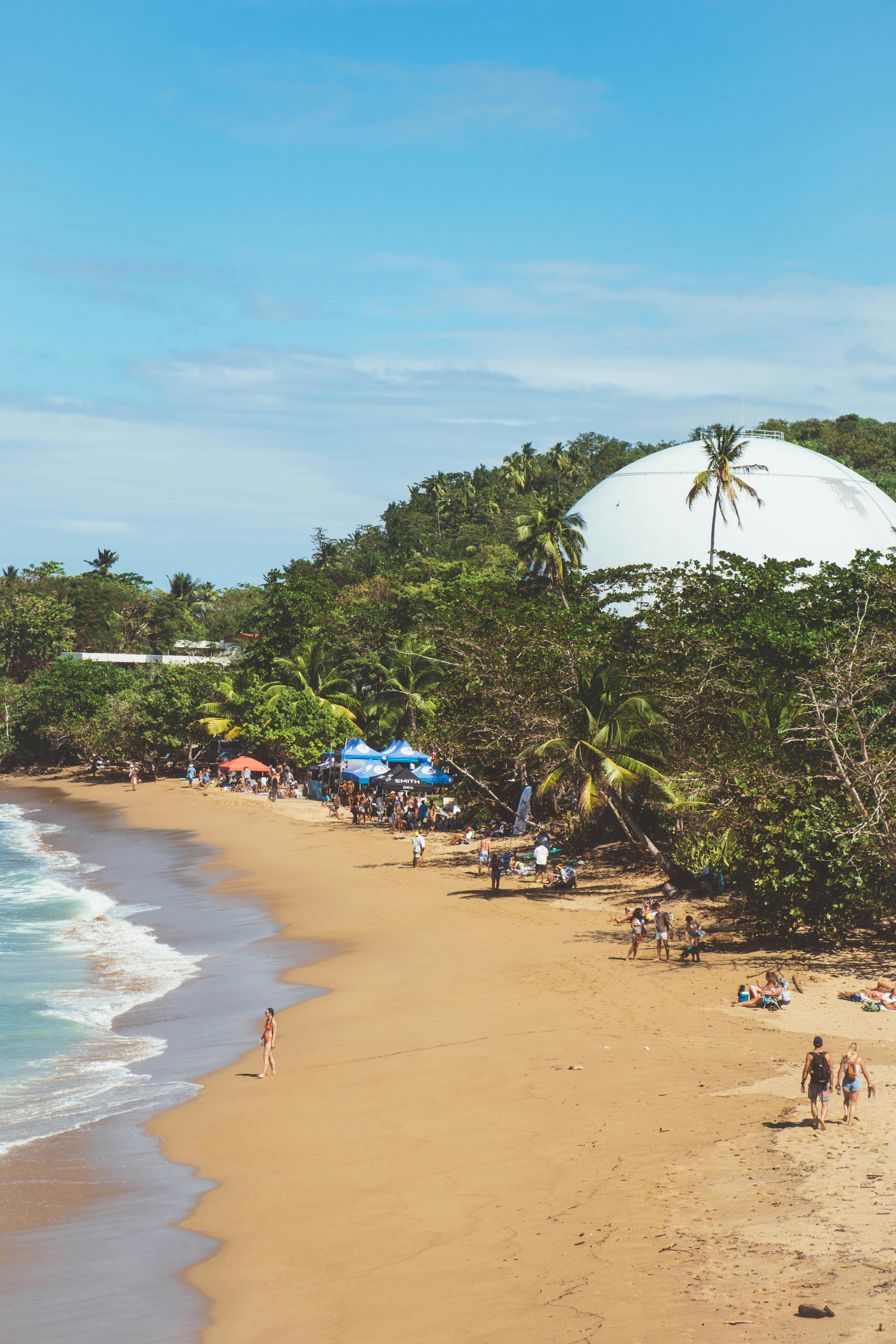 Tropical Forest on Domes Beach in Puerto Rico · Free Stock Photo