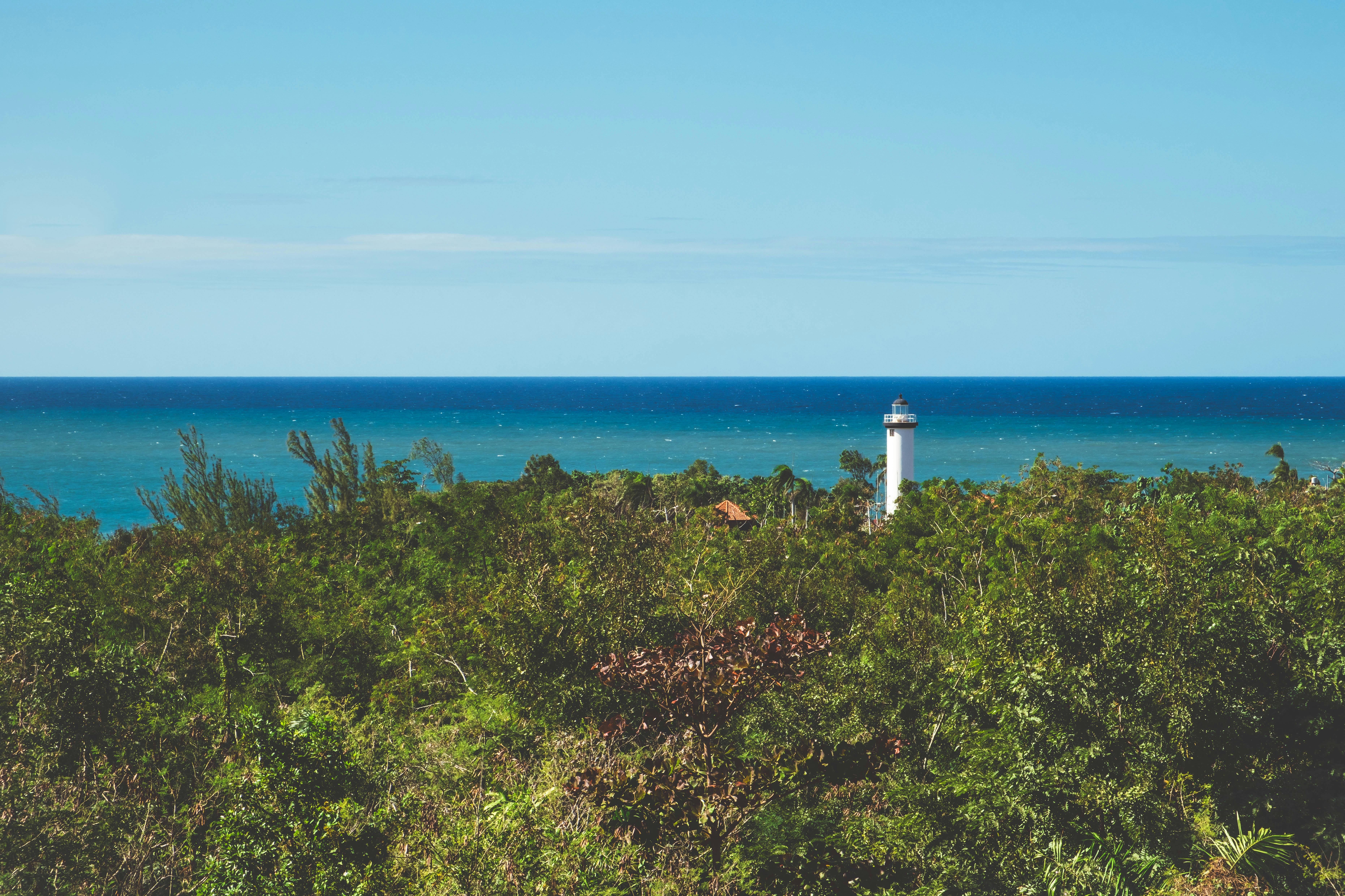 Tropical Forest and Lighthouse on Tropical Sea Coast in Puerto Rico ...