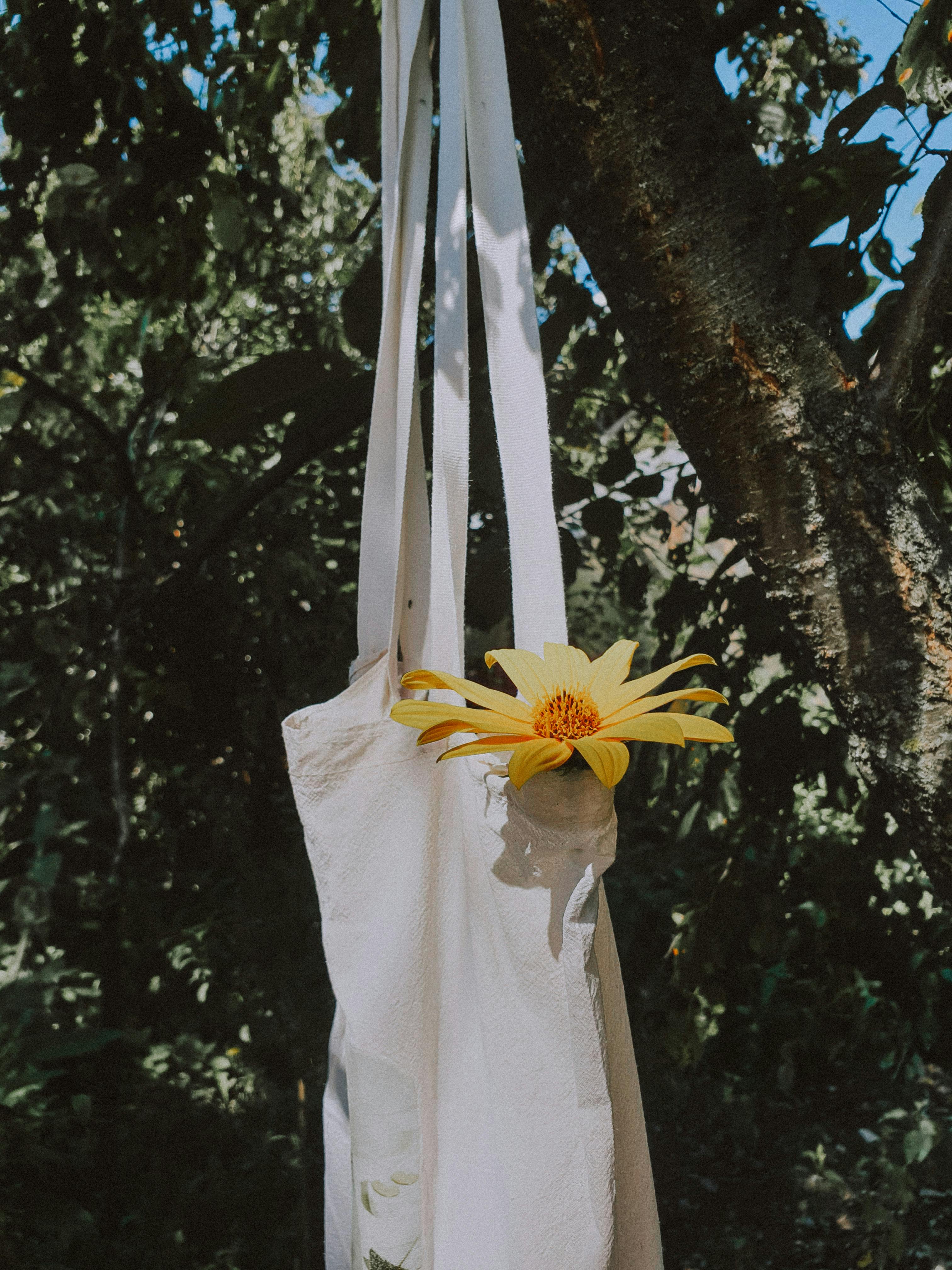 Capas Cotton Photos, Download The BEST Free Capas Cotton Stock Photos ...