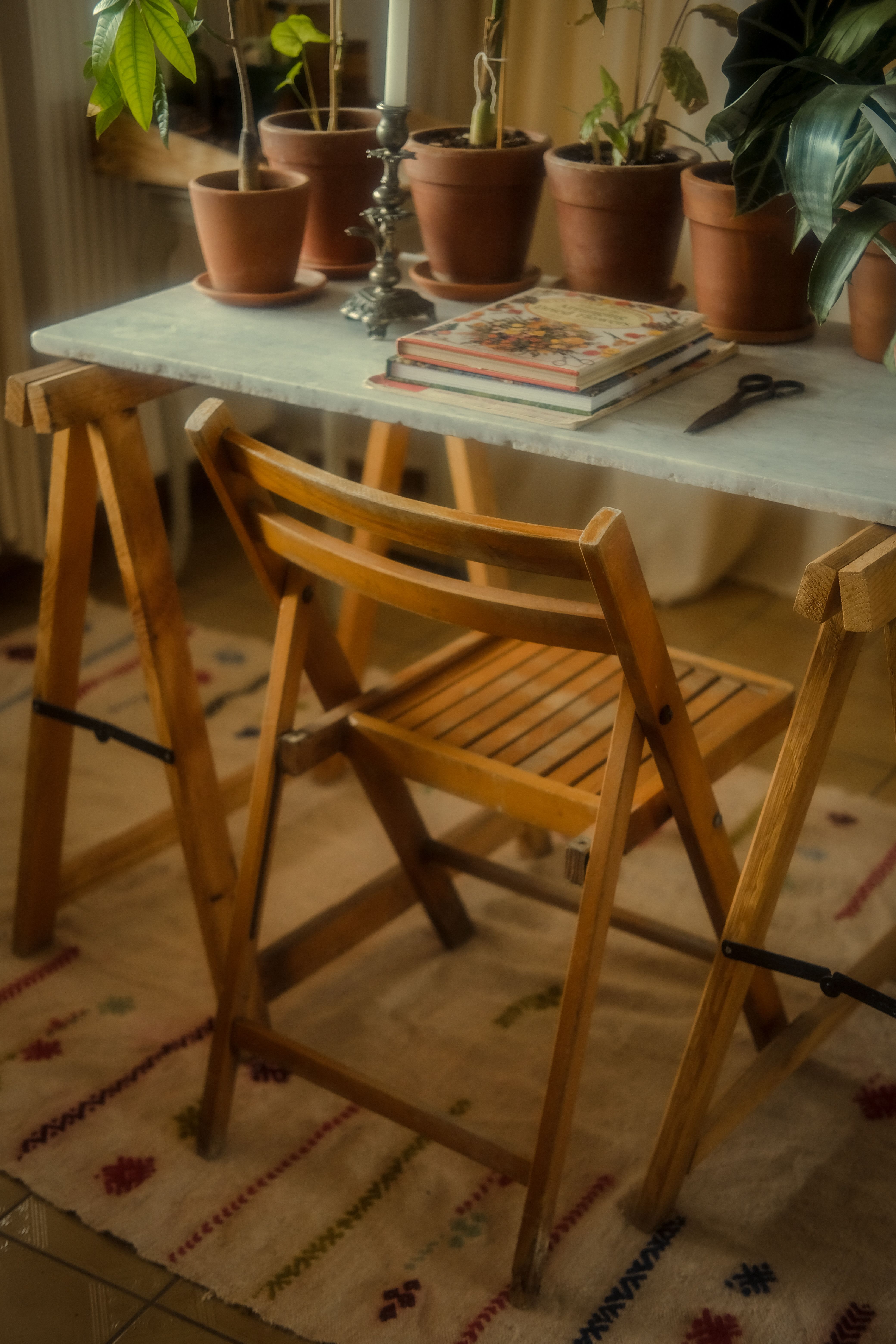 Wooden Chairs by Table with Books, Plants and Scissors · Free Stock Photo