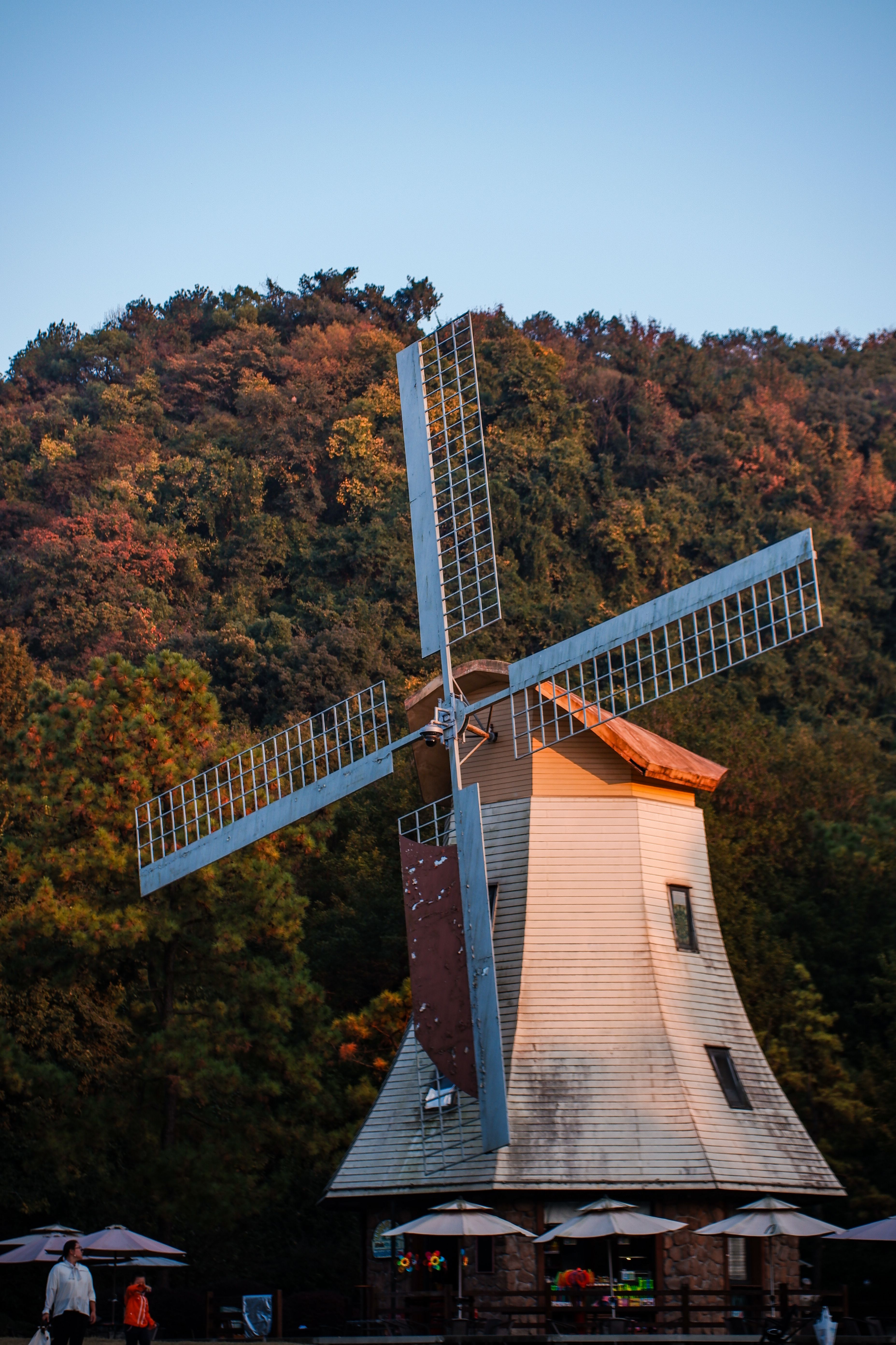 Vintage Windmill in Forest · Free Stock Photo