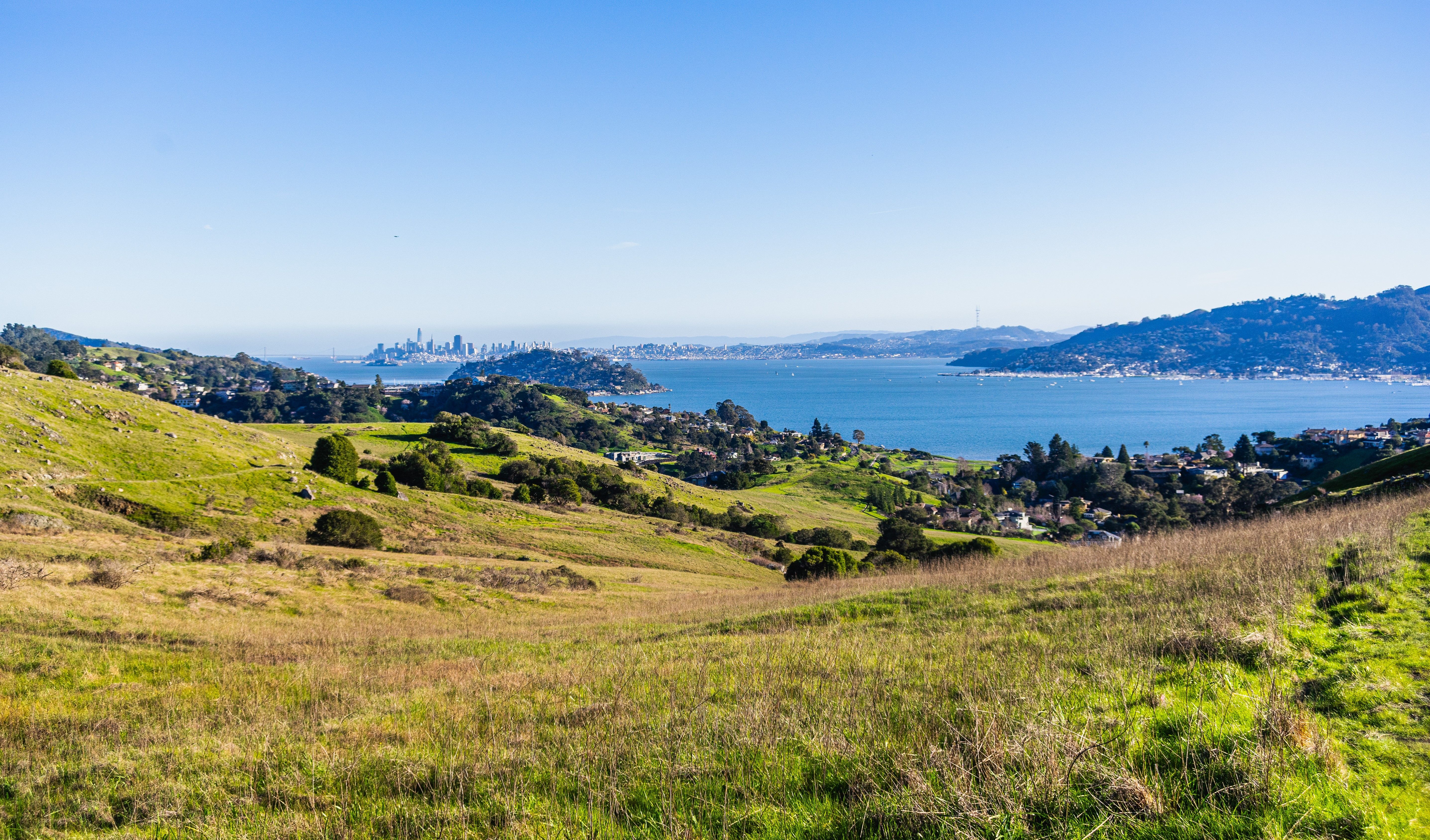 A grassy hill overlooking the bay and ocean · Free Stock Photo