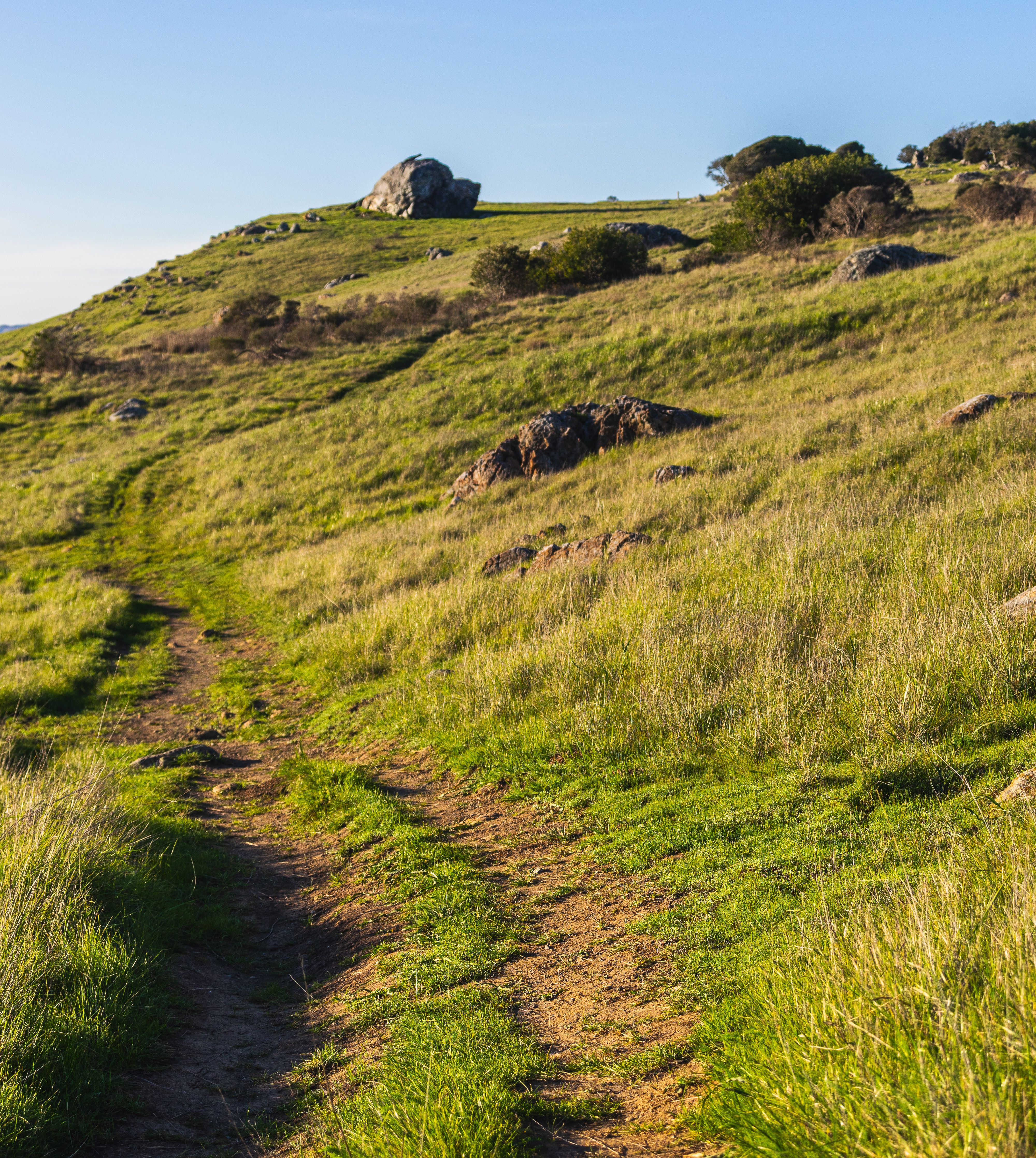 A dirt path leading up to a hill with grass and rocks · Free Stock Photo