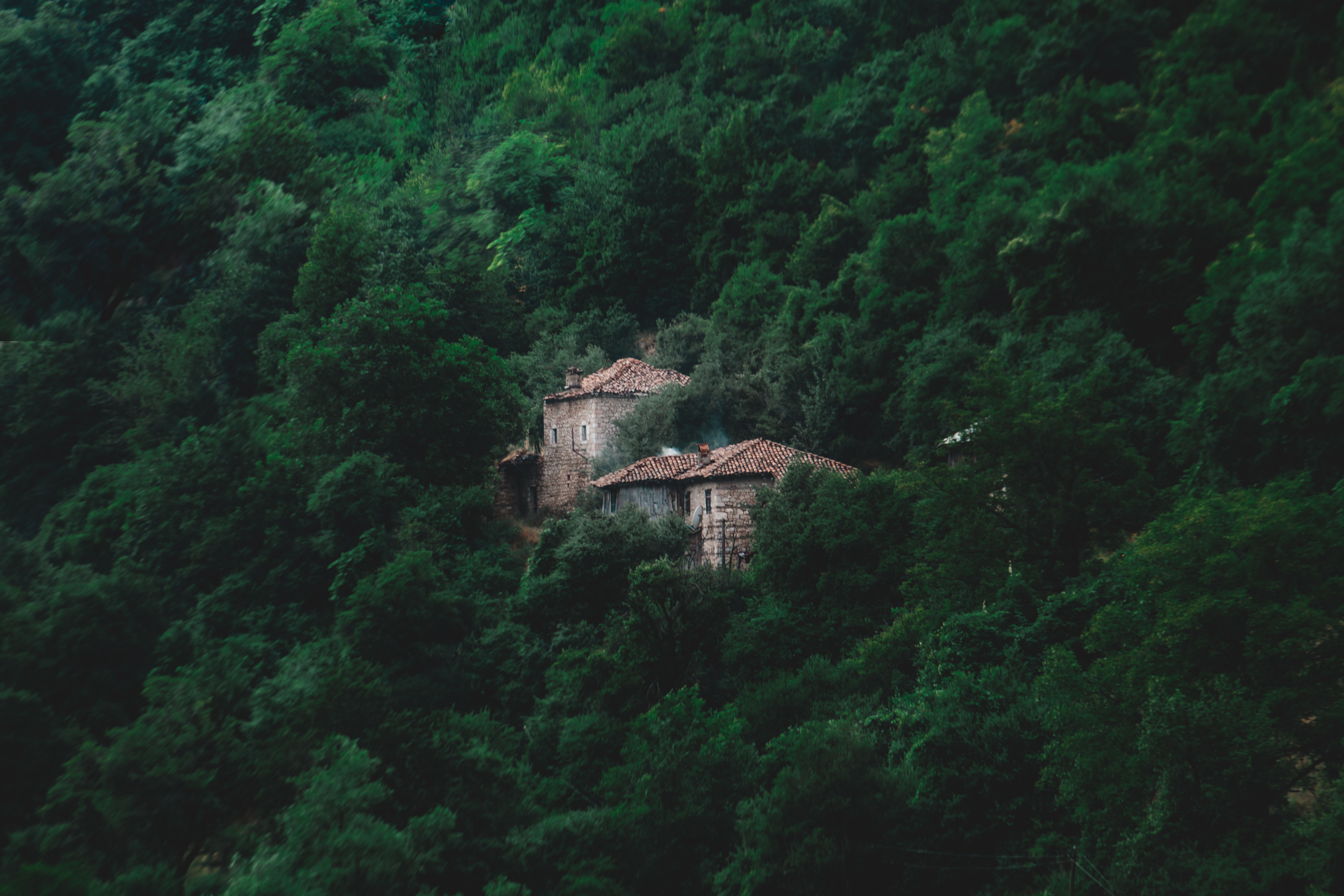 Stone Building in a Forest · Free Stock Photo