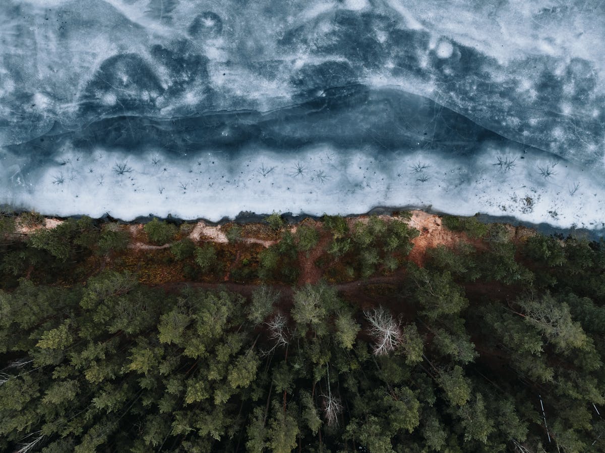 Forest Cold Photos, Download The BEST Free Forest Cold Stock Photos ...