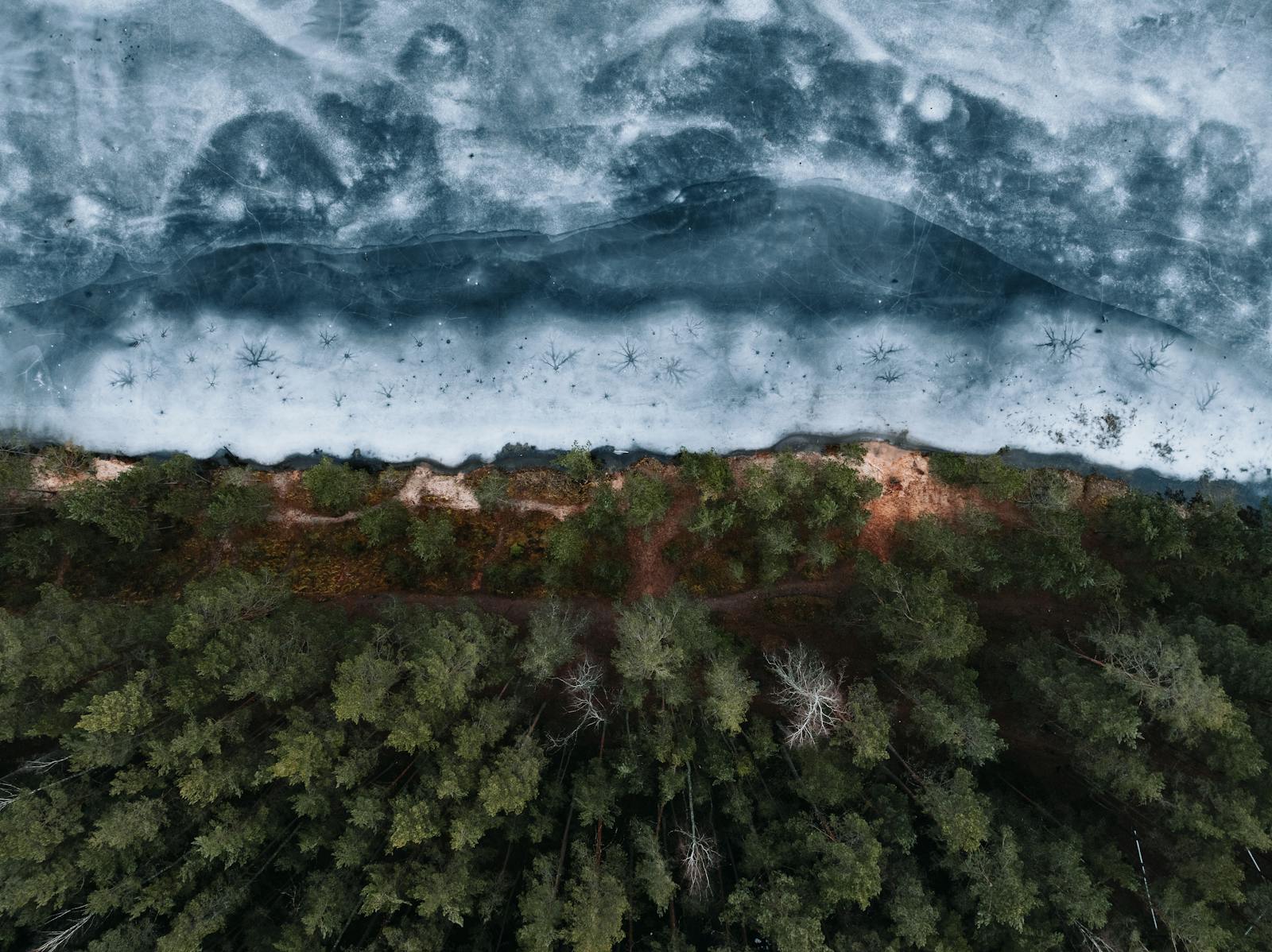 Forest Cold Photos, Download The BEST Free Forest Cold Stock Photos ...