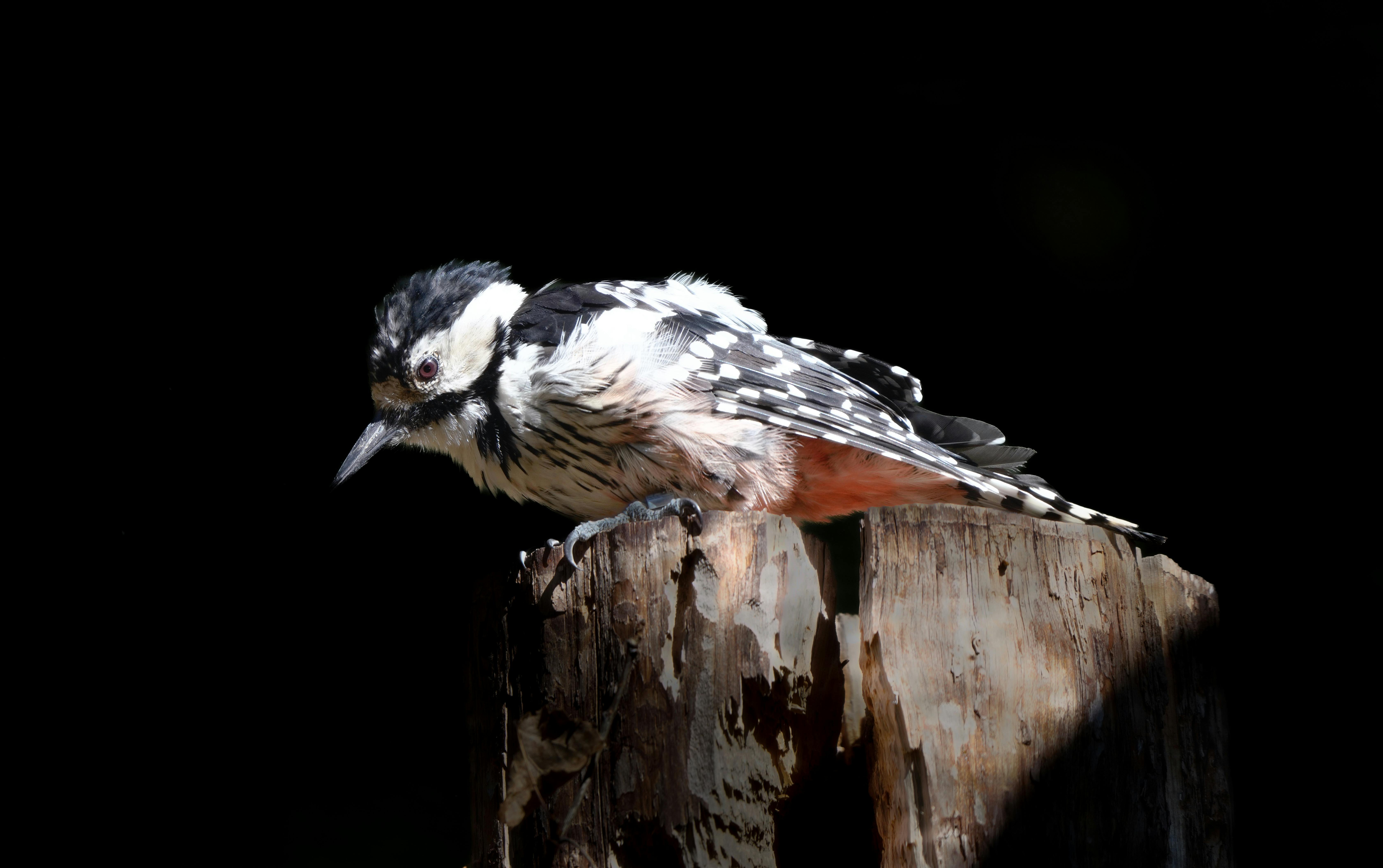 100 000+ Plan Pic banque d’images et photos libres de droit ...