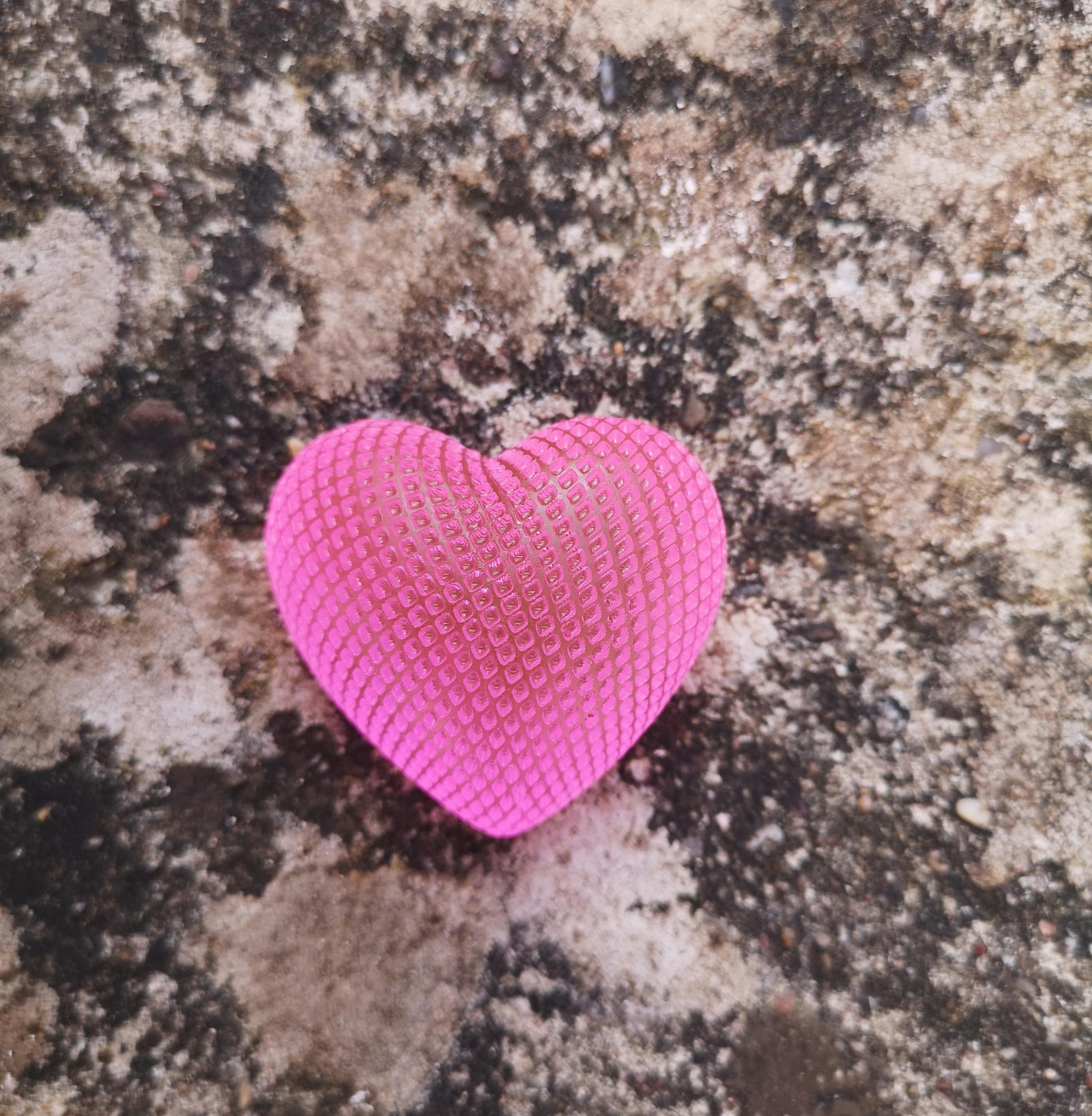 Kristin L - Fotografía