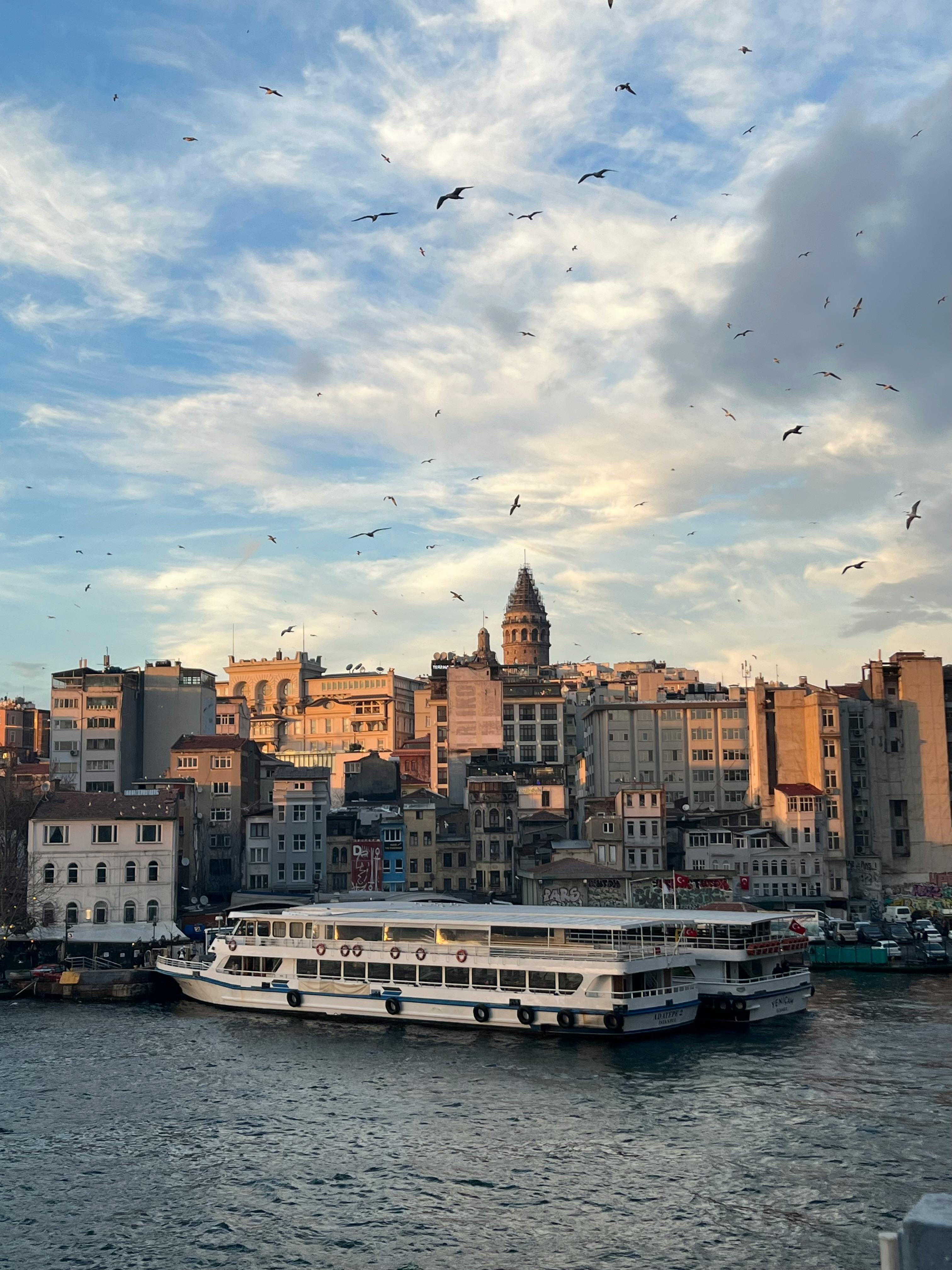 Sky Bunny Photos, Download The BEST Free Sky Bunny Stock Photos & HD Images