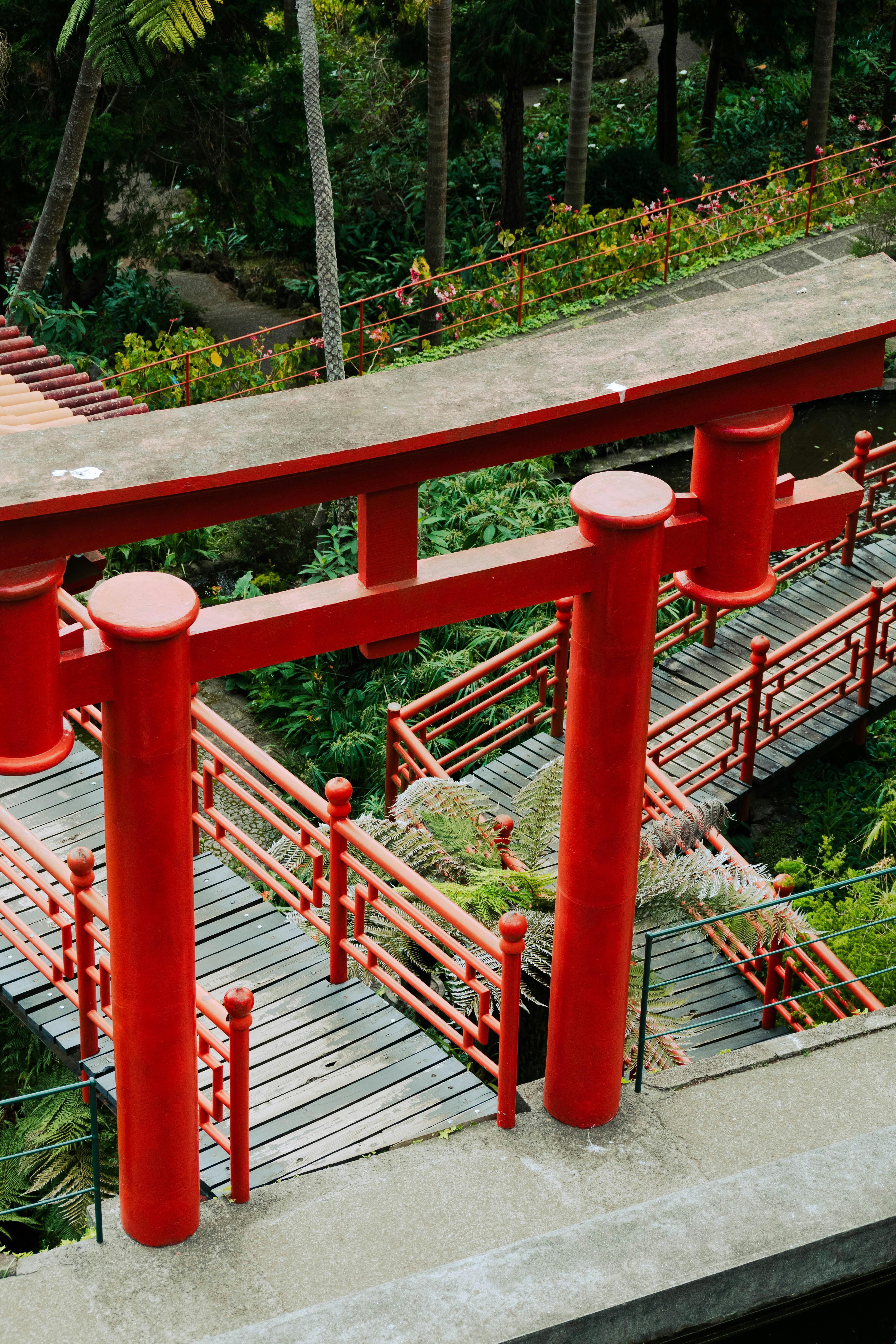 Zen Hen Photos, Download The BEST Free Zen Hen Stock Photos & HD Images