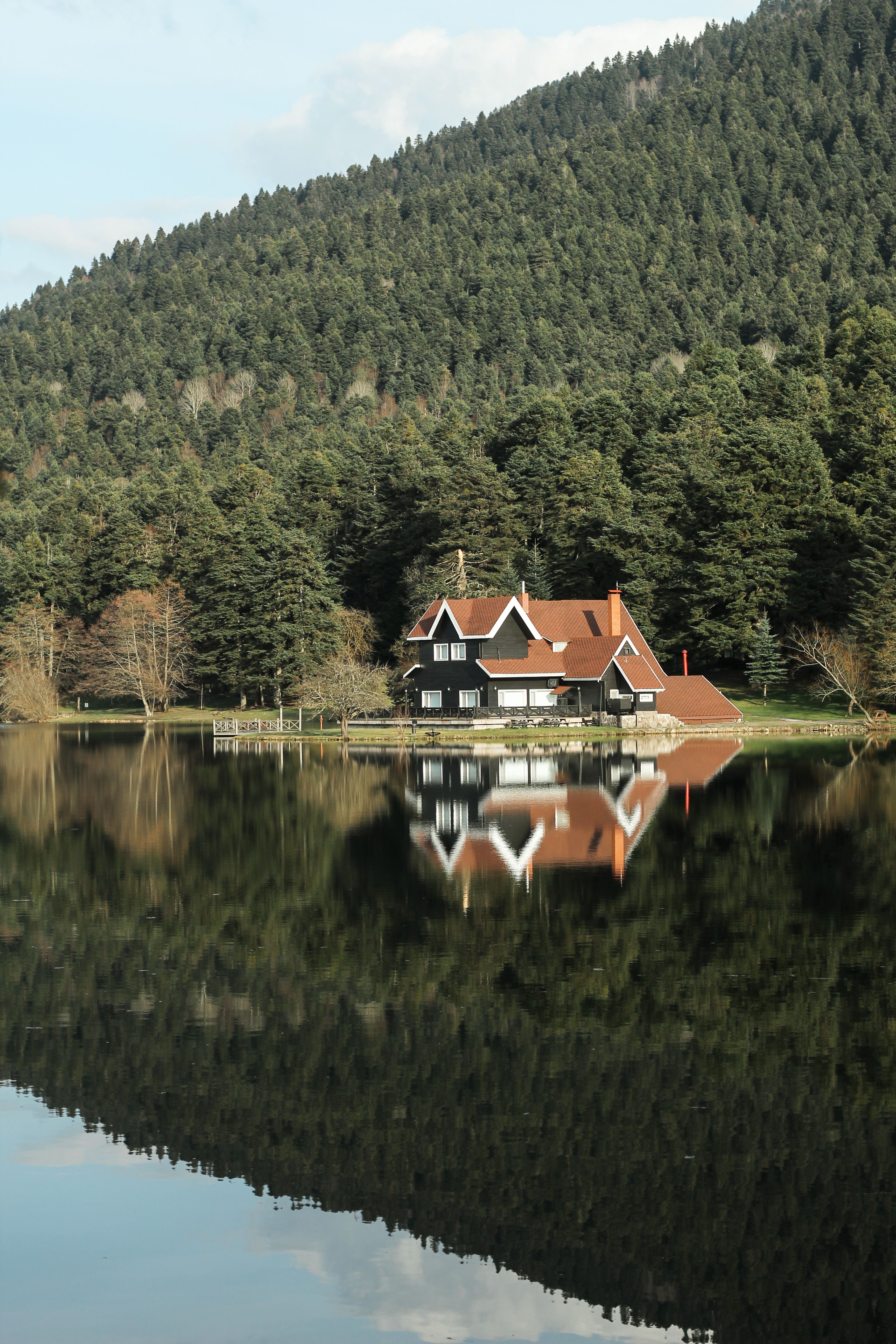 Turkish Nature Photos, Download The BEST Free Turkish Nature Stock ...