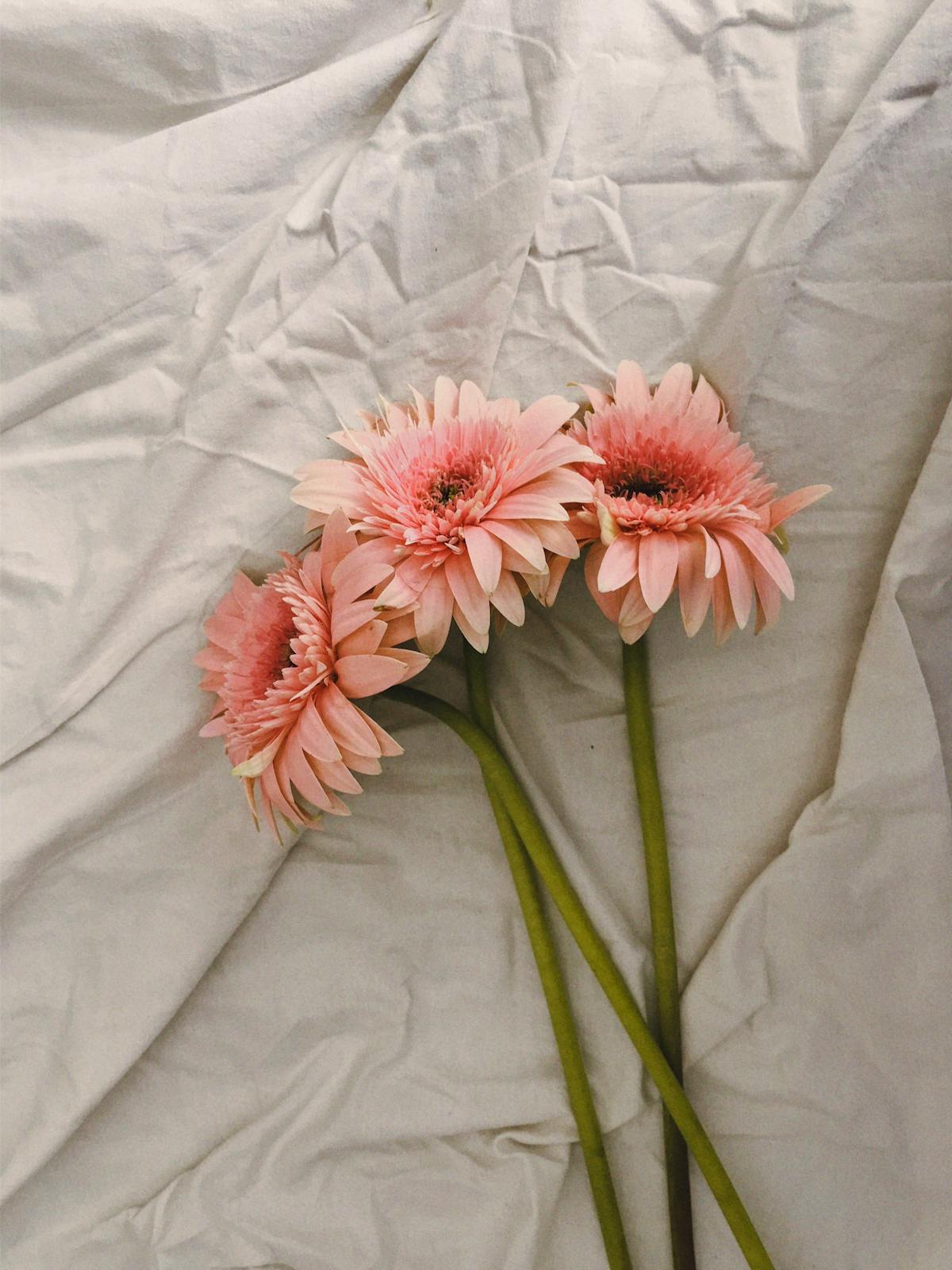 Aesthetic Pink Photos, Download The BEST Free Aesthetic Pink Stock ...