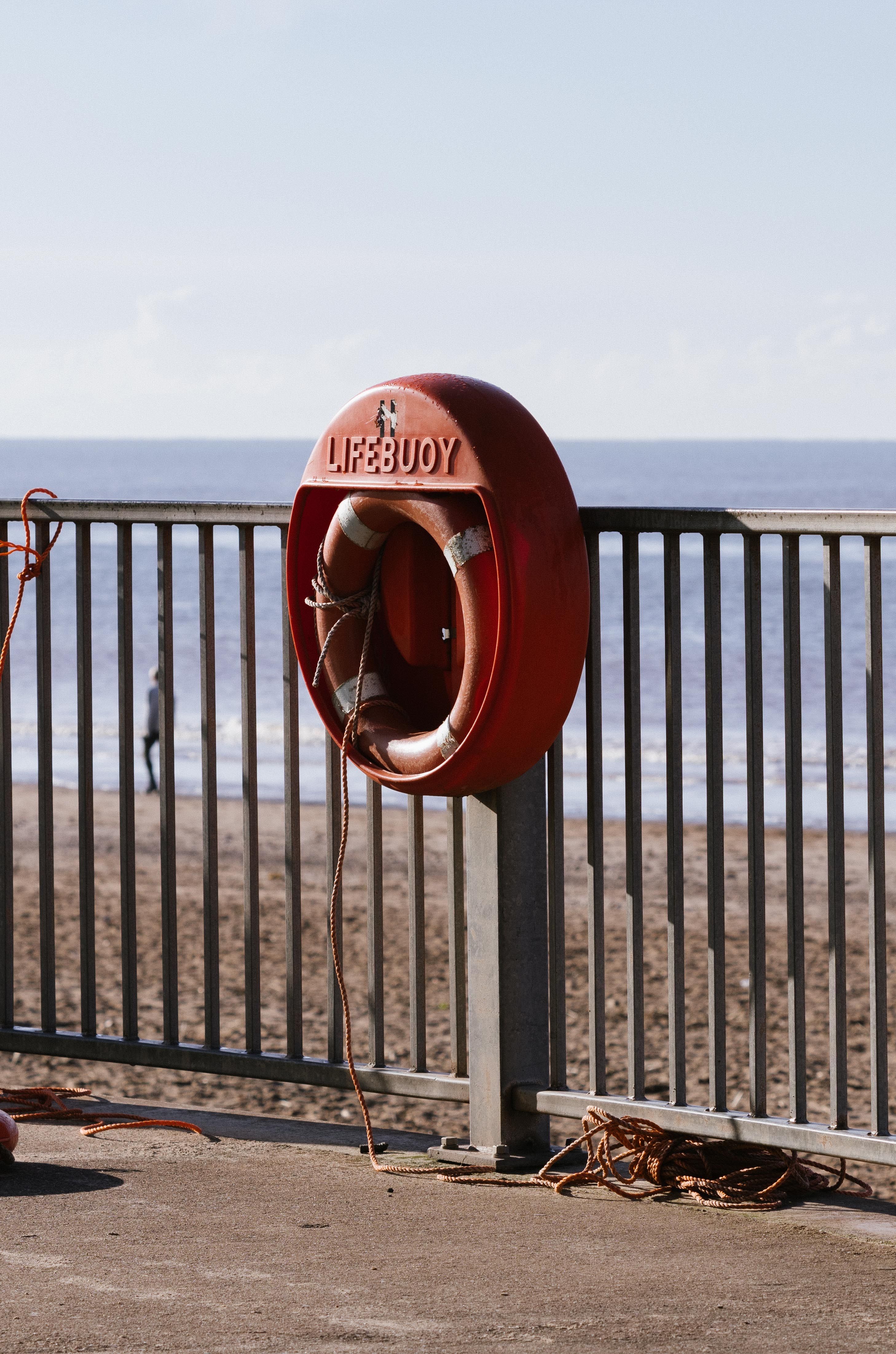 Life Buoy on Railing on Sea Coast · Free Stock Photo