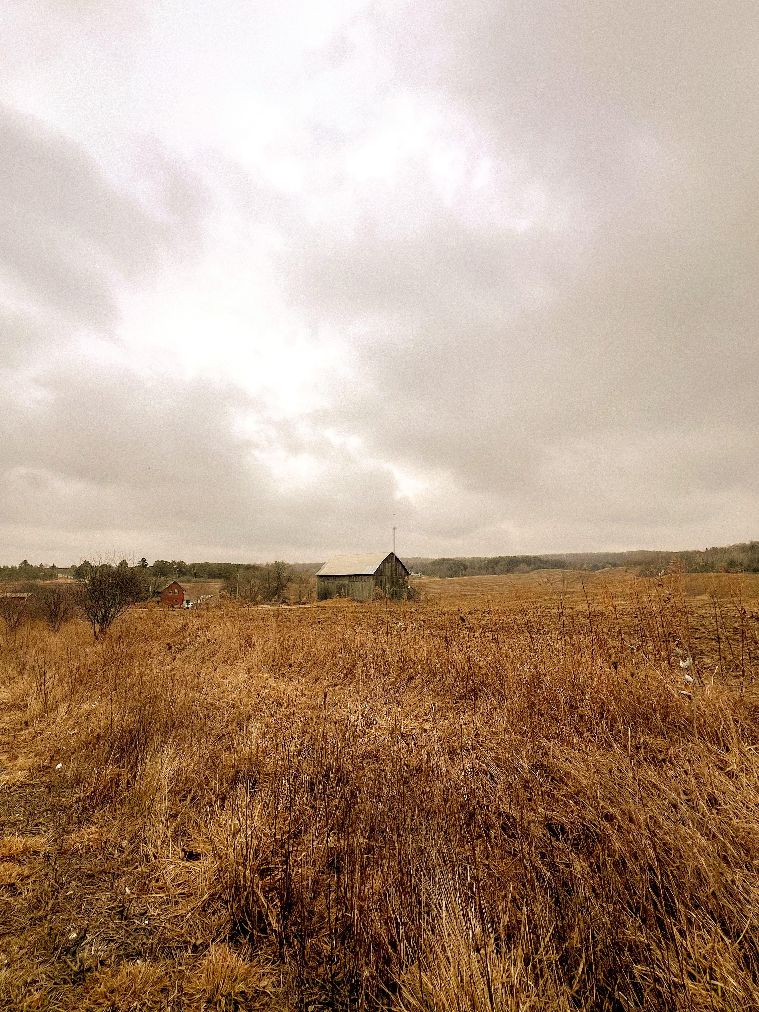 Landscape with Dry Grass Field and a Barn · Free Stock Photo