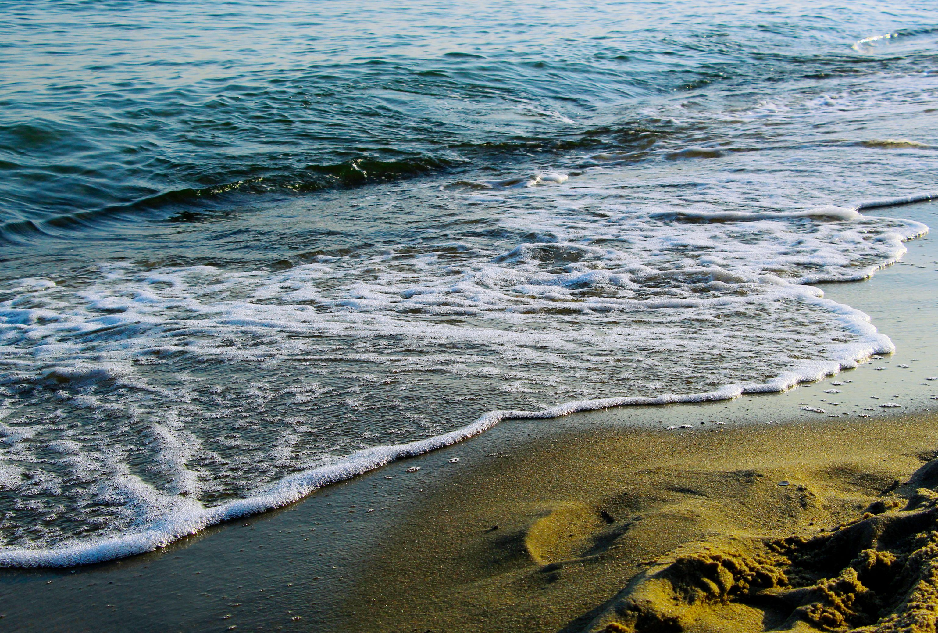 Foamy Sea Water on the Beach · Free Stock Photo