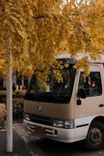 Autumn Tree Photos, Download The BEST Free Autumn Tree Stock Photos ...