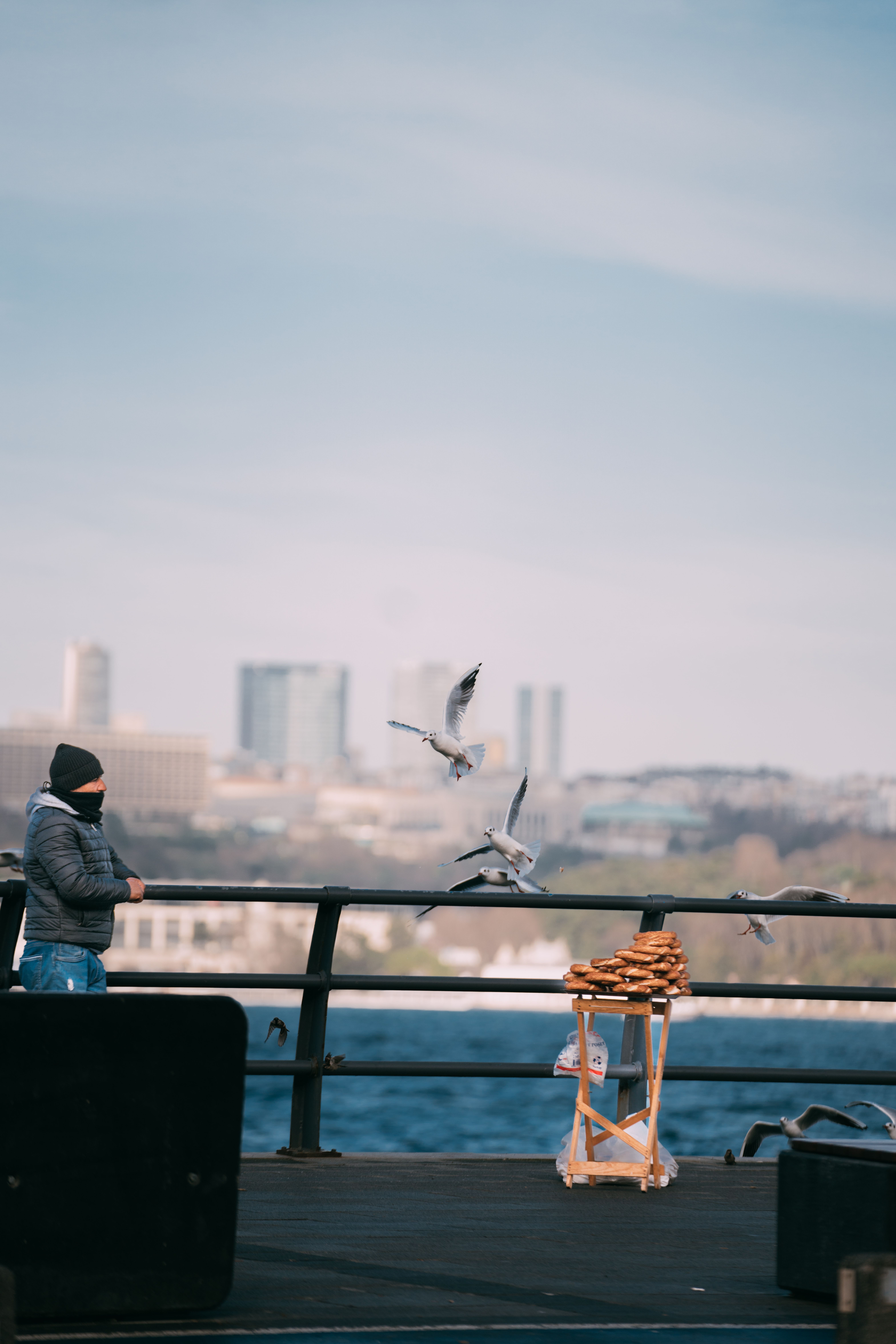 A Person Standing among Flying Birds on a Pier · Free Stock Photo