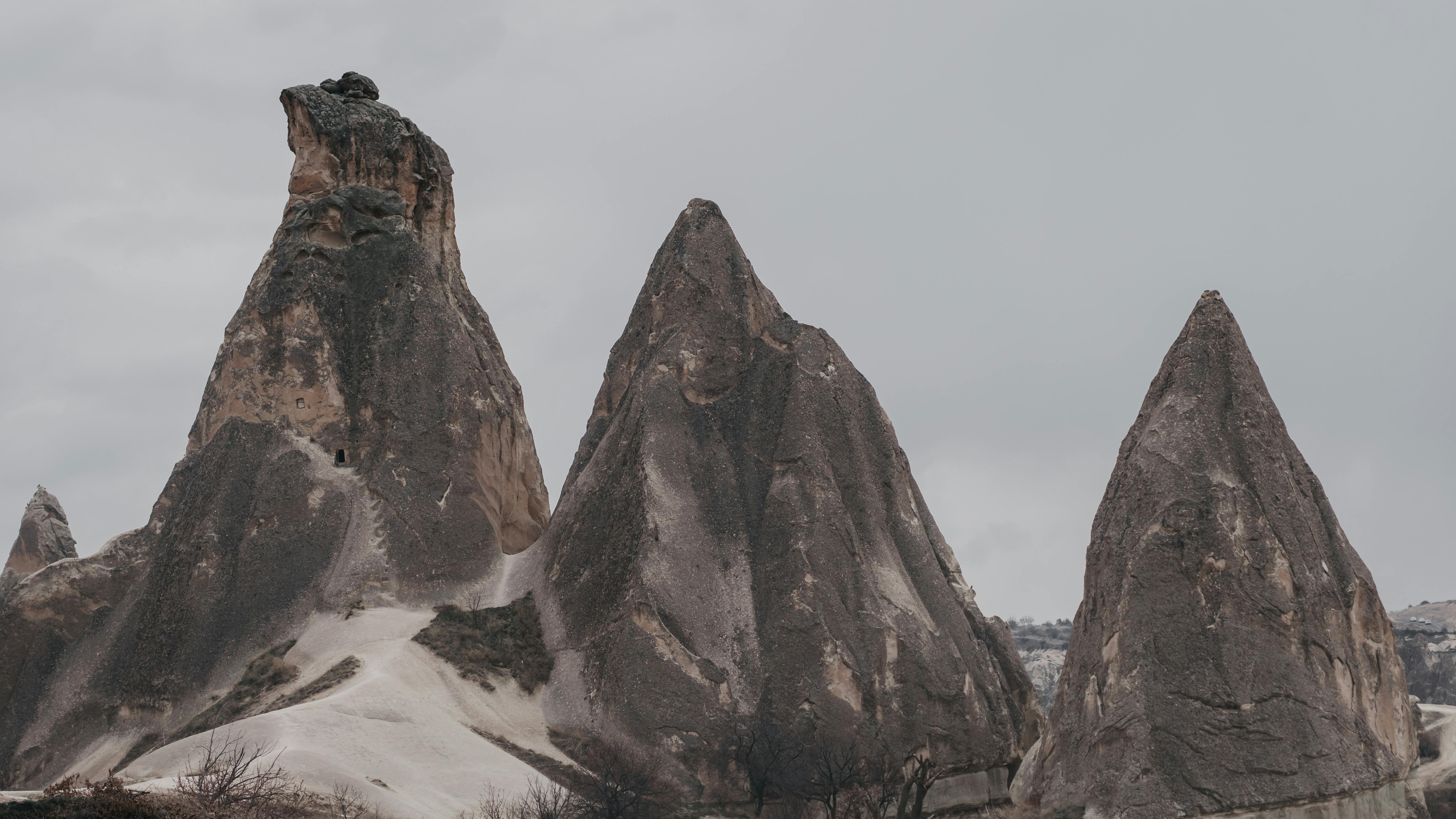 Trilob Photos, Download The BEST Free Trilob Stock Photos & HD Images