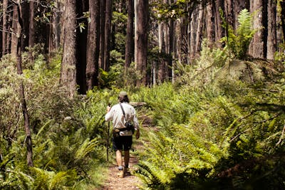 Australian Outback Photos, Download The BEST Free Australian Outback ...