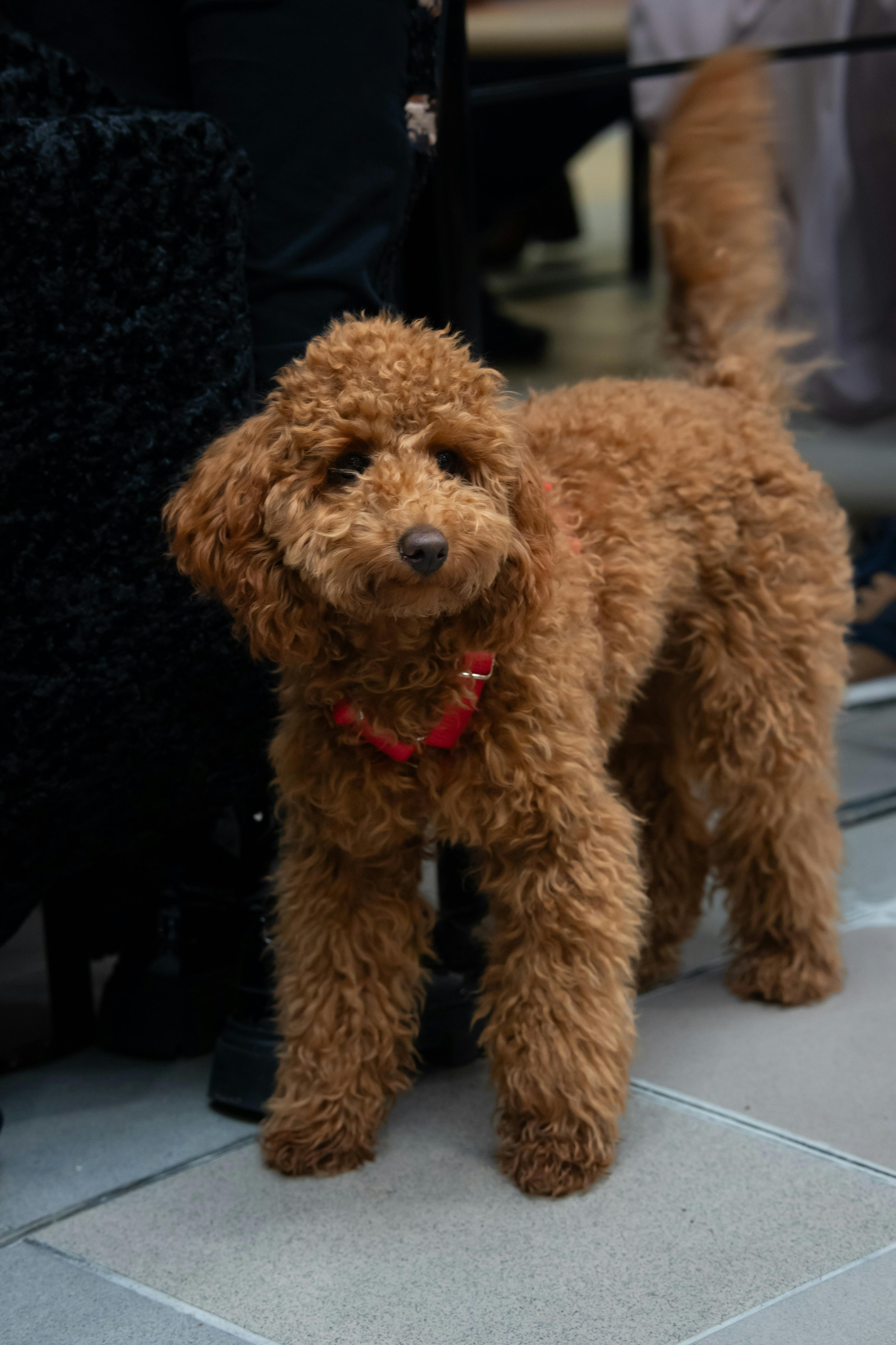 Piotr Baranowski - Fotografie