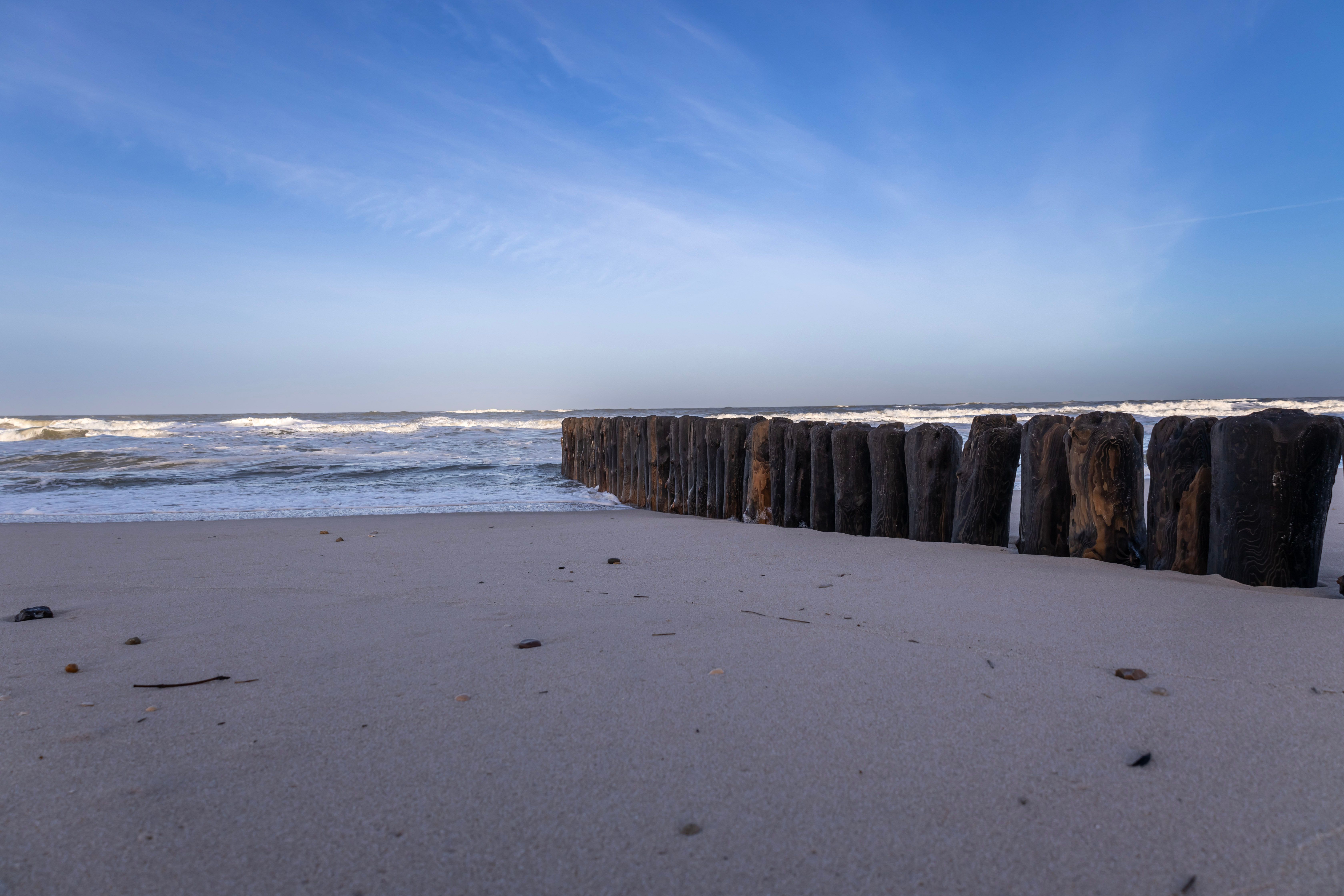Joerg Mangelsen - Photography
