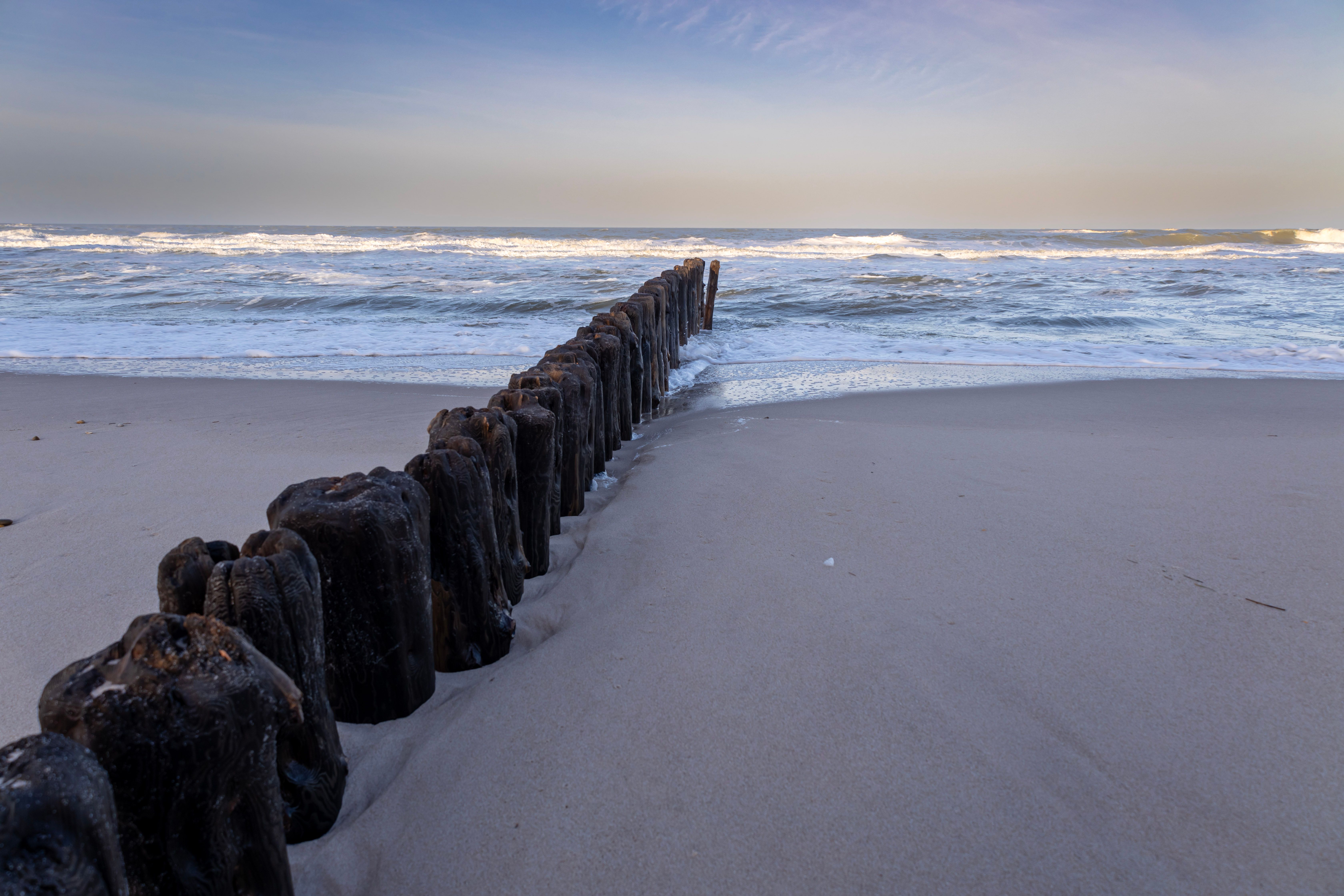 Wooden Breakwater on Beach · Free Stock Photo